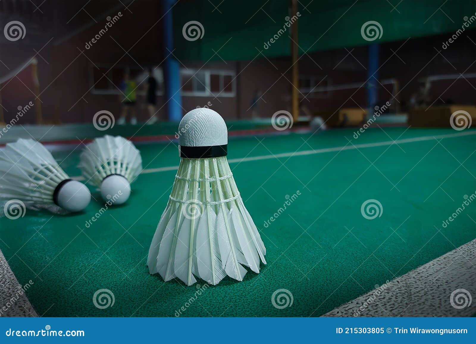 Shuttercock Stock Photography | CartoonDealer.com #285524