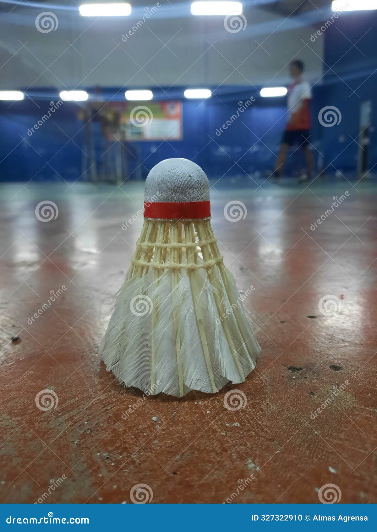 Shuttle stock photo. Image of shuttle, badminton, playing - 327322910