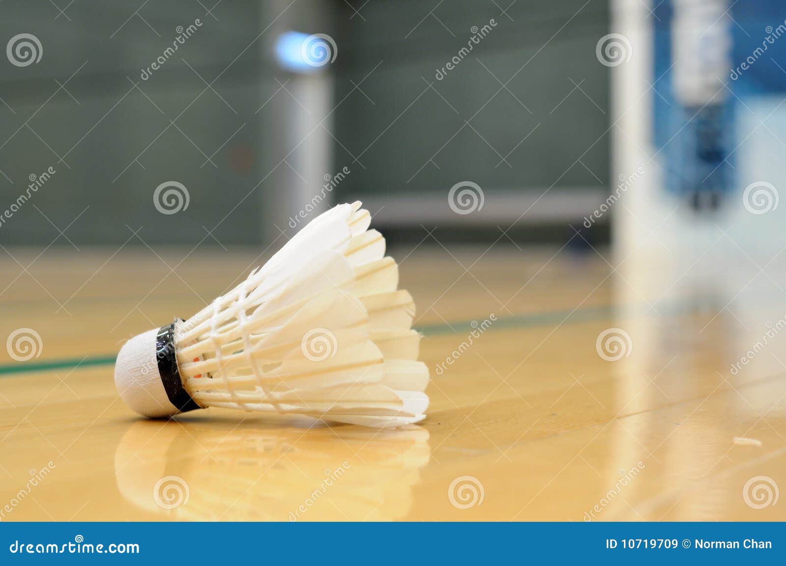 Shuttlecock stock image. Image of activity, racket, five - 10719709