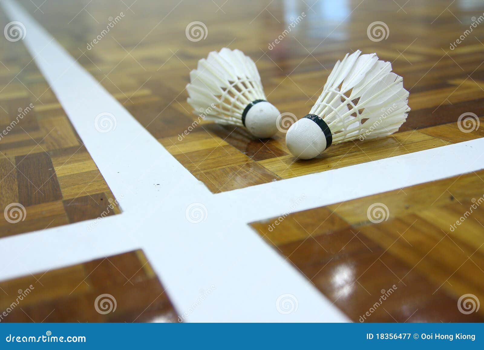 SHUTTLECOCK stock image. Image of healthy, flight, game - 18356477
