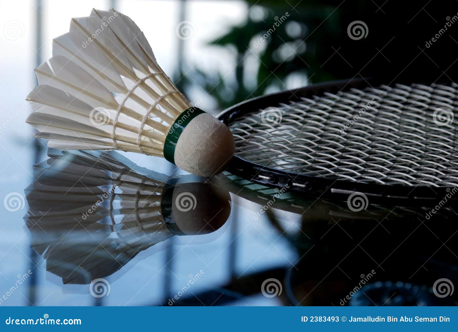 Shuttlecock stock image. Image of shuttlecock, court, competition - 2383493