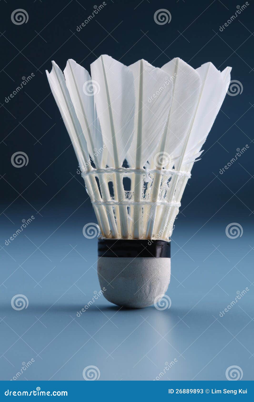 Shuttlecock stock image. Image of light, activity, feather - 26889893