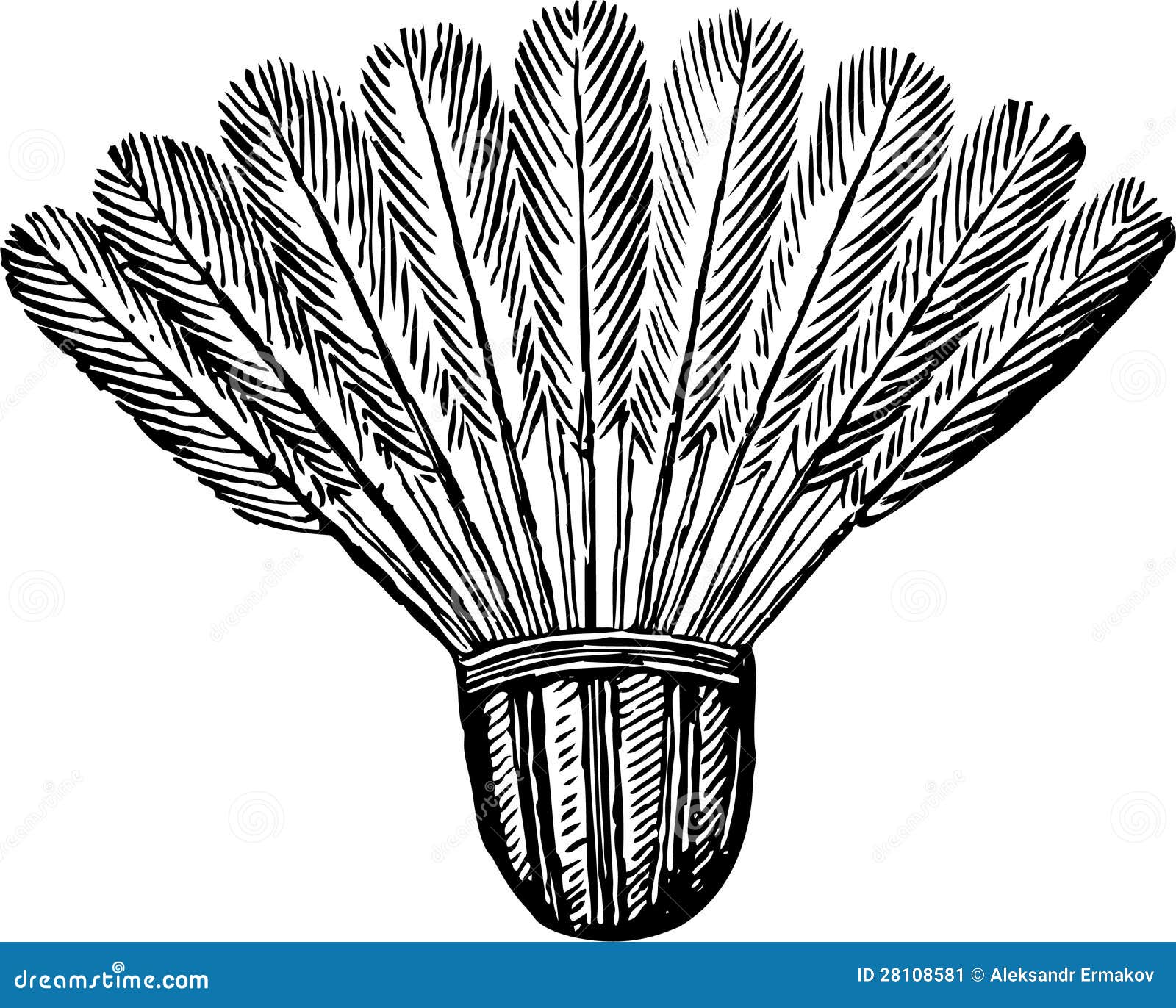 Shuttlecock stock vector. Illustration of feathers, sporting - 28108581