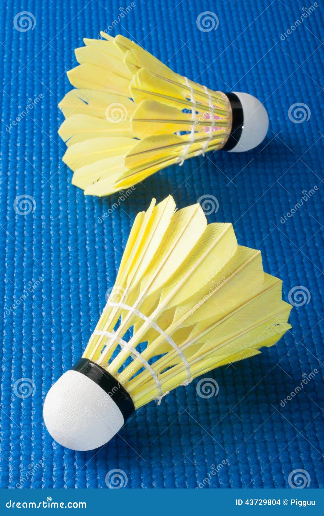 Shuttlecock stock foto. Image of pluimbal, vloer, pendelocks - 43729804