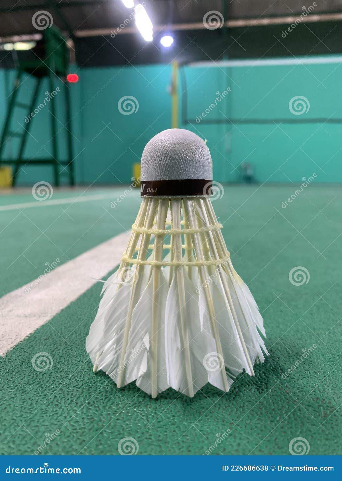 Shuttlecock stock photo. Image of sport, court, shuttle - 226686638