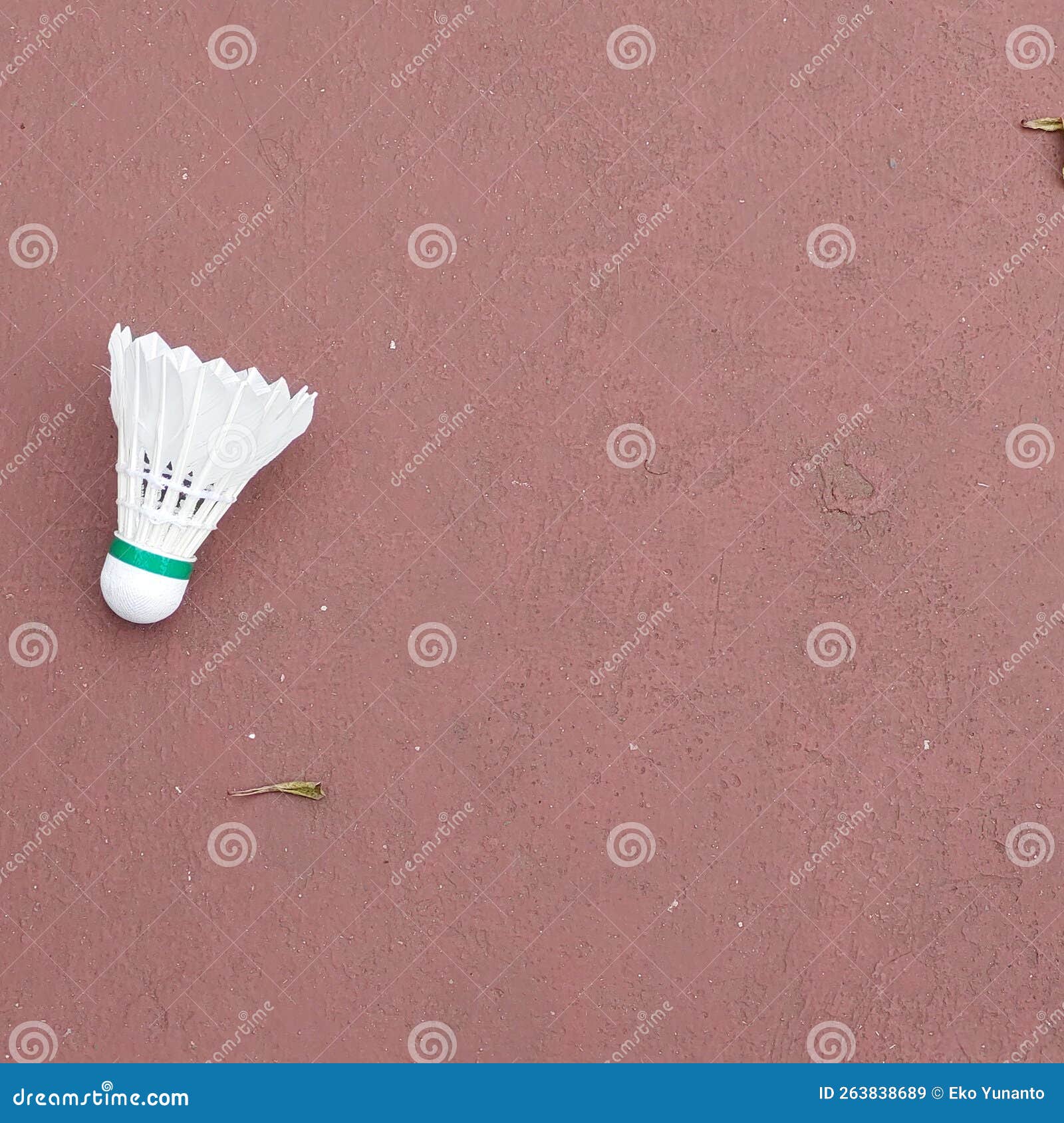 Shuttlecock on the Badminton Court, after the Smash Stock Image - Image ...