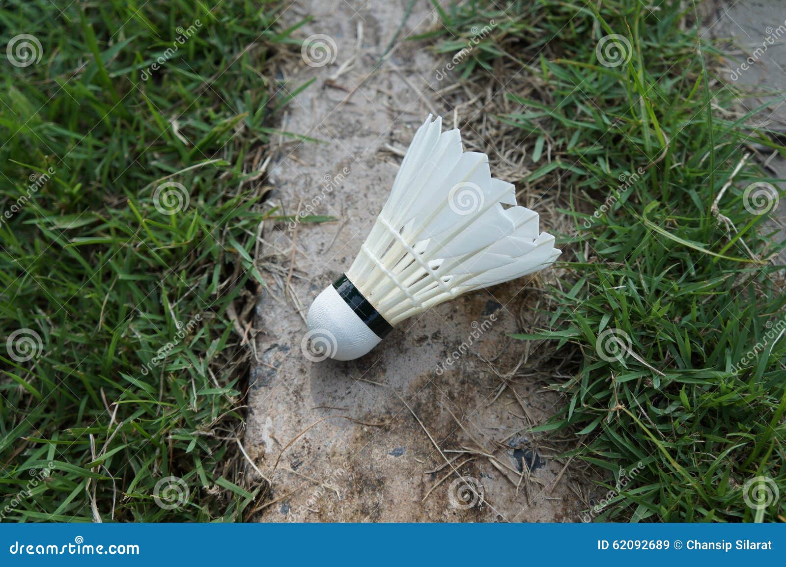 Shuttlecock stock image. Image of exercise, leisure, shuttlecocks ...