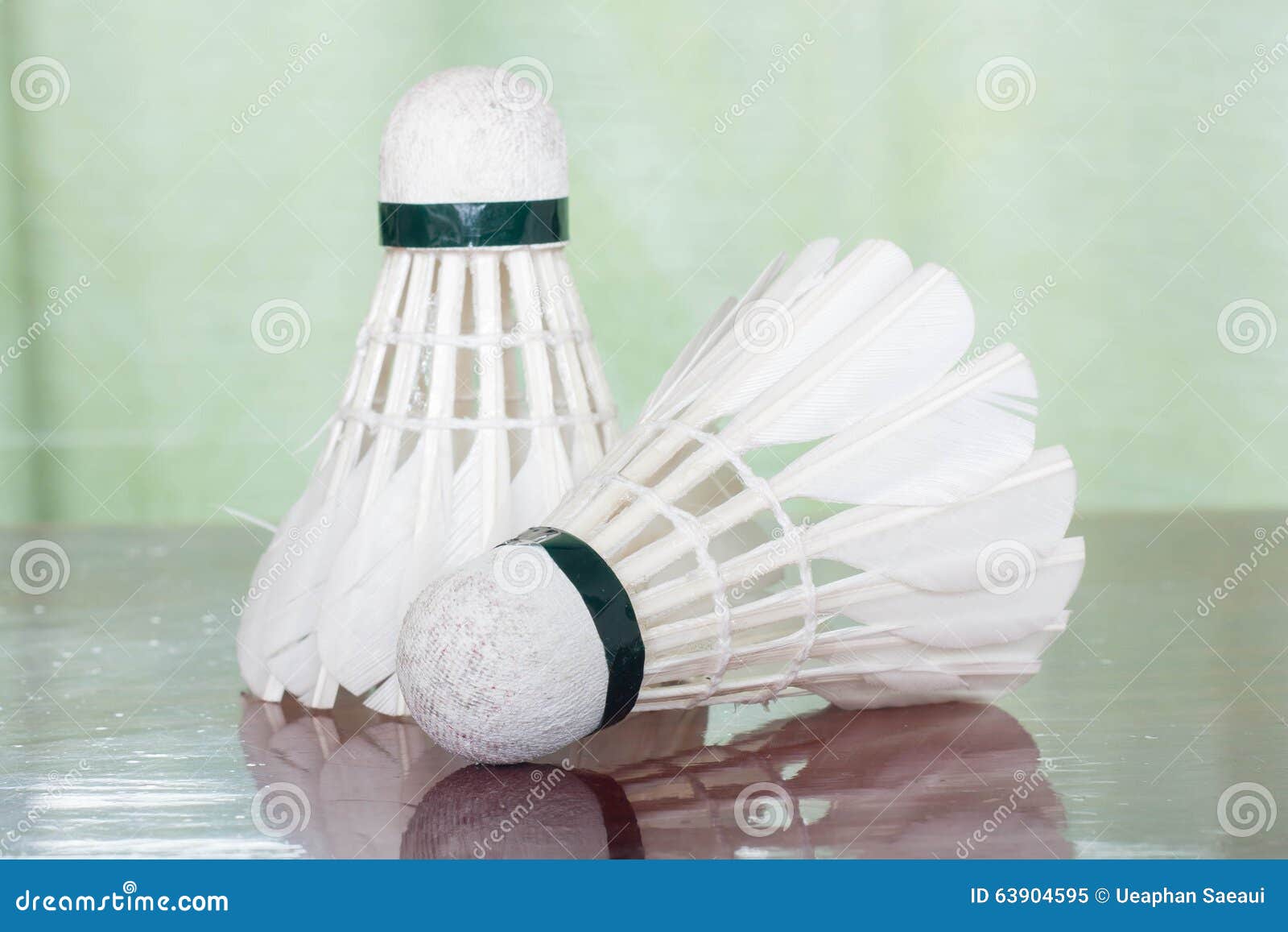 Shuttlecock for Badminton Game. Stock Image - Image of exercise, goose ...