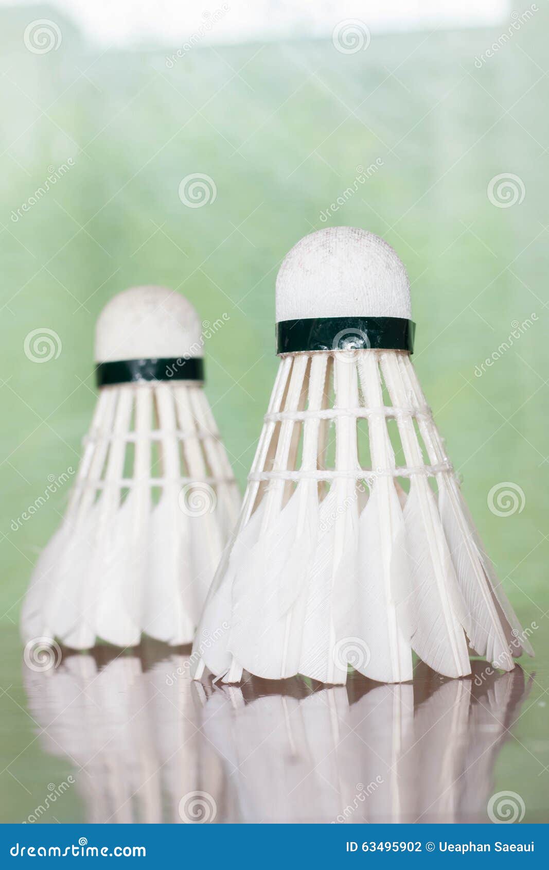 Shuttlecock for Badminton Game. Stock Photo - Image of match, animal ...