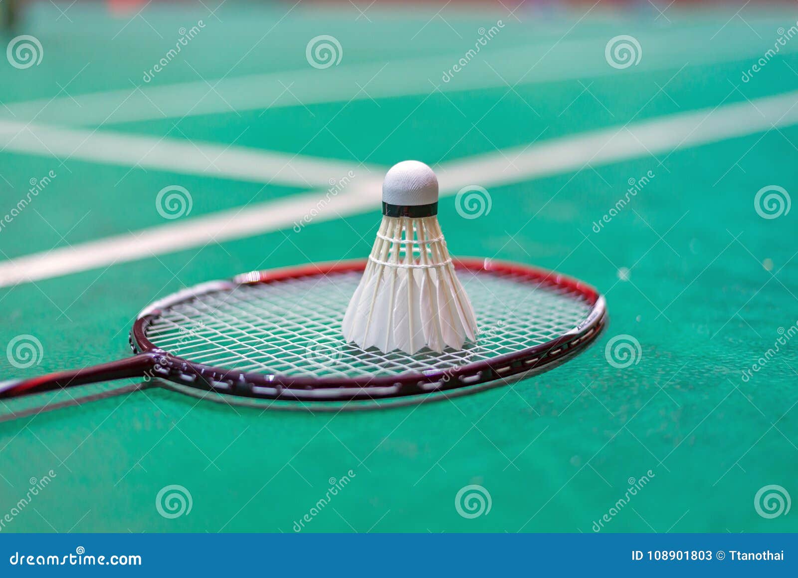 Shuttlecock and Badminton Racket in Court Stock Image - Image of floor ...