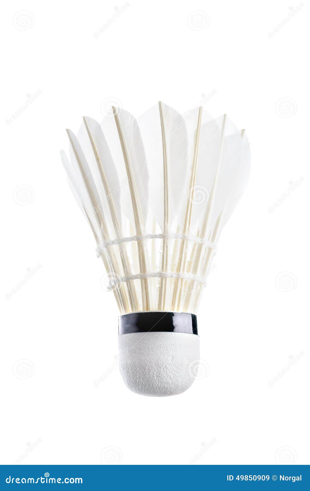 Shuttlecock stock image. Image of badminton, isolated - 49850909