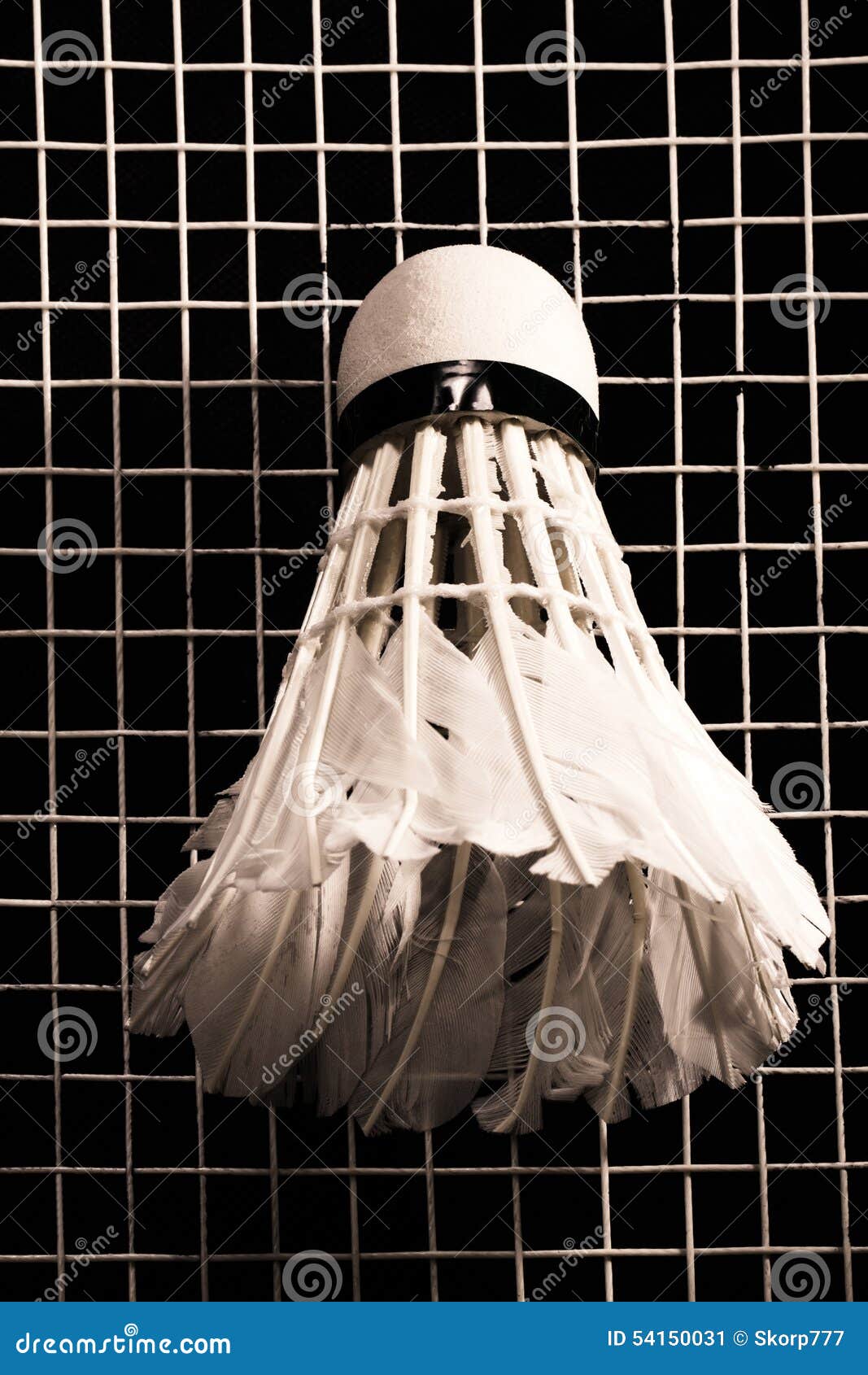 Shuttlecock from Goose Feathers on Badminton Racket Stock Image - Image ...