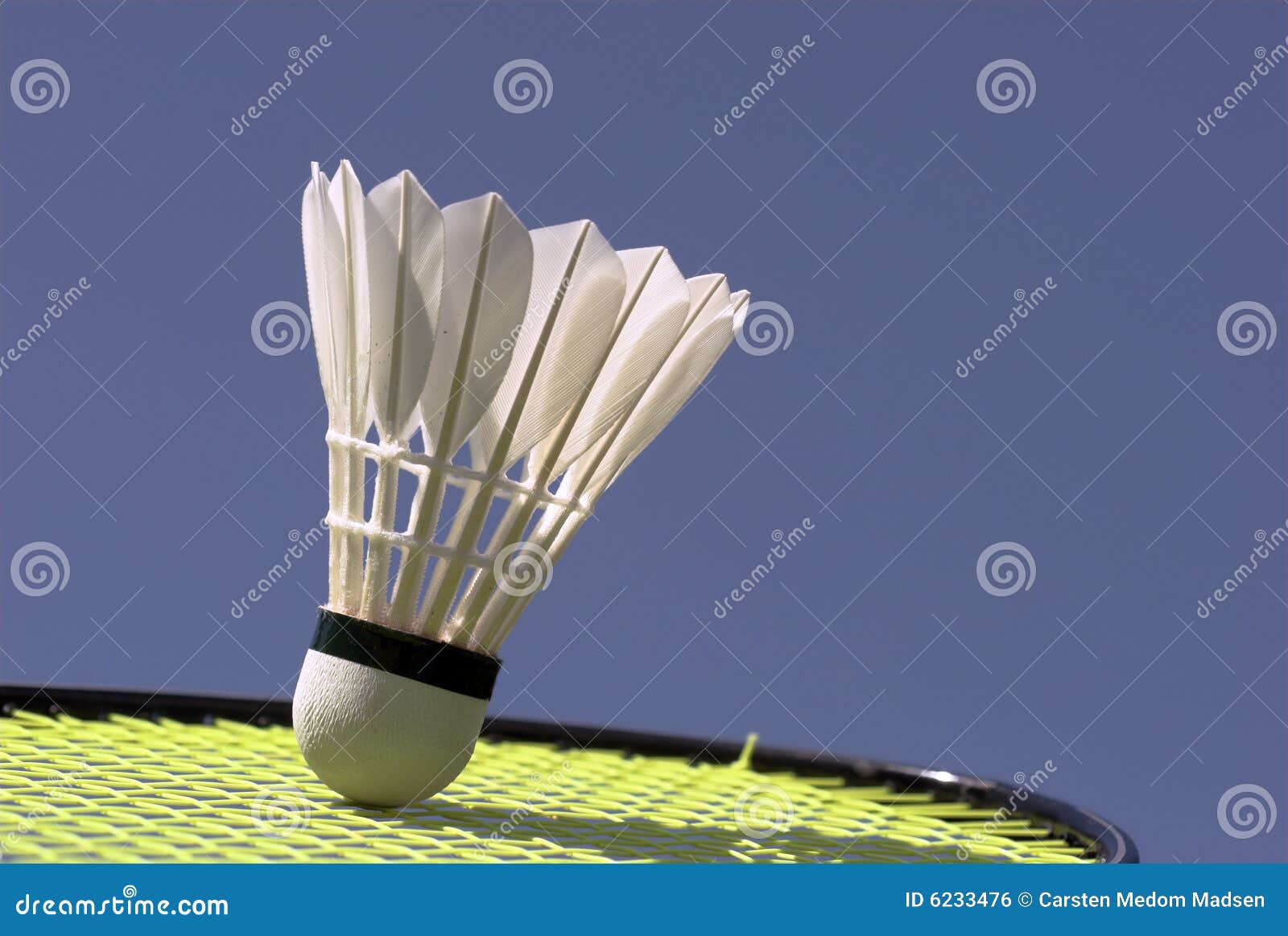 Shuttlecock on racket stock photo. Image of sport, view - 6233476