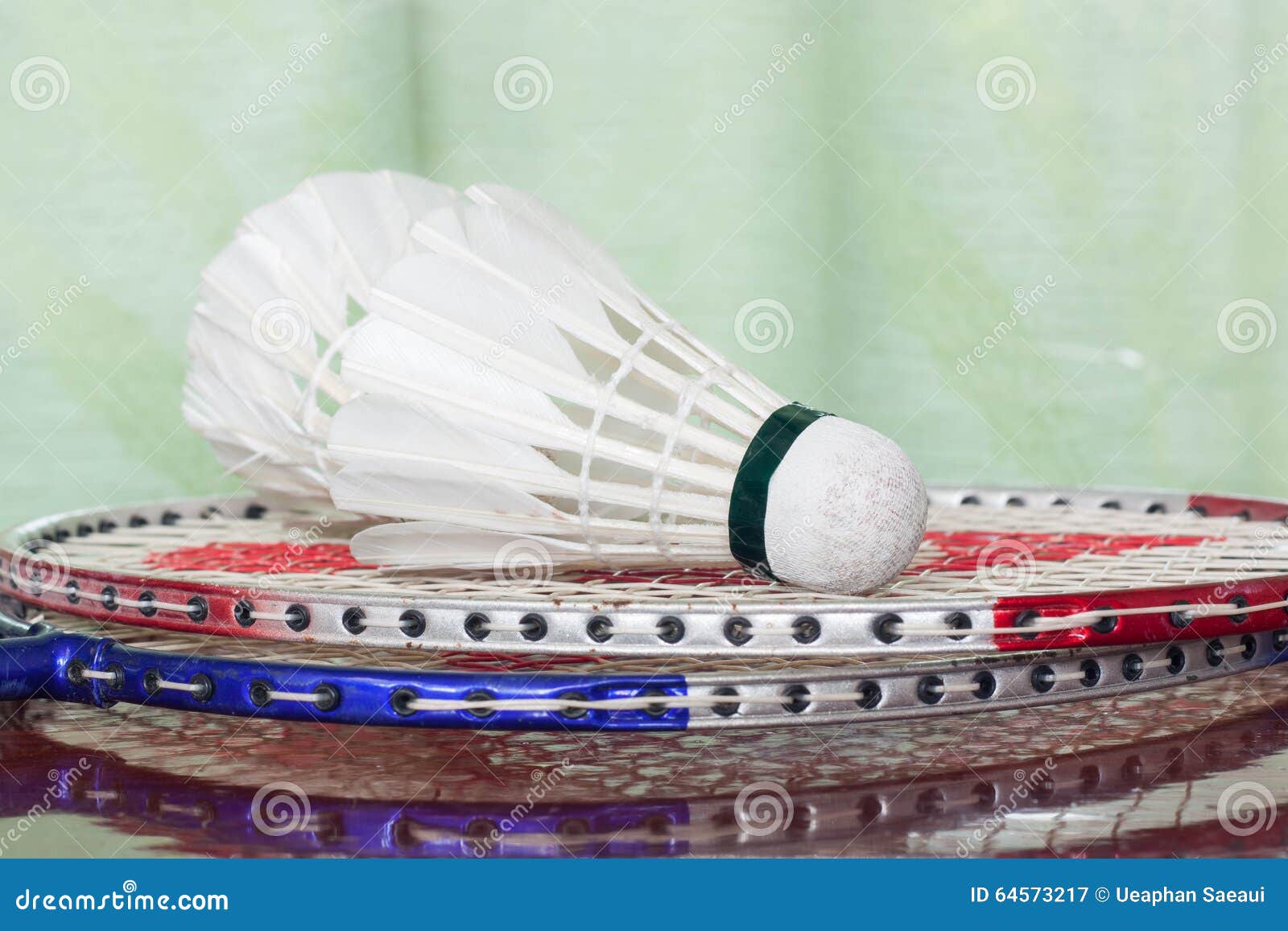 Shuttlecocks and Badminton Racket. Stock Image - Image of hobby, green ...