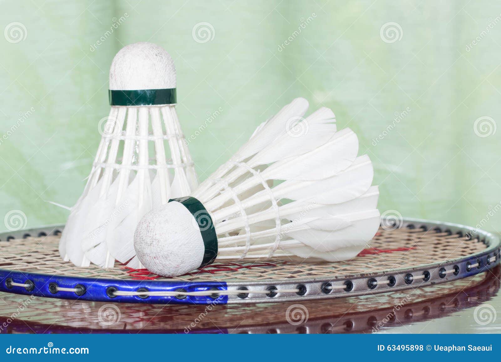 Shuttlecocks and Badminton Racket. Stock Photo - Image of entertainment ...