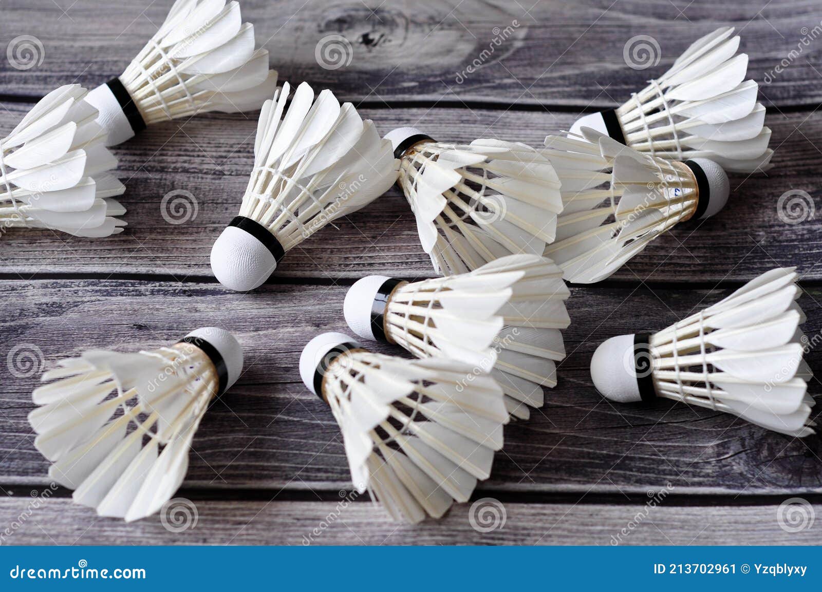 Shuttlecocks Badmintons on Wooden Board Stock Image - Image of sport ...