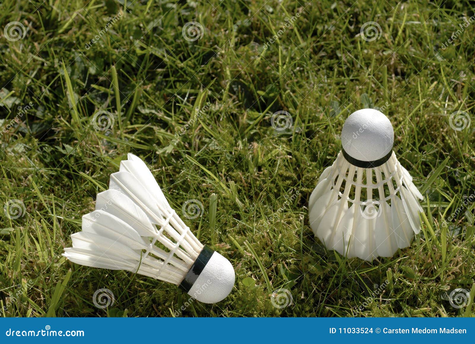 Shuttlecocks on the grass stock photo. Image of leisure - 11033524