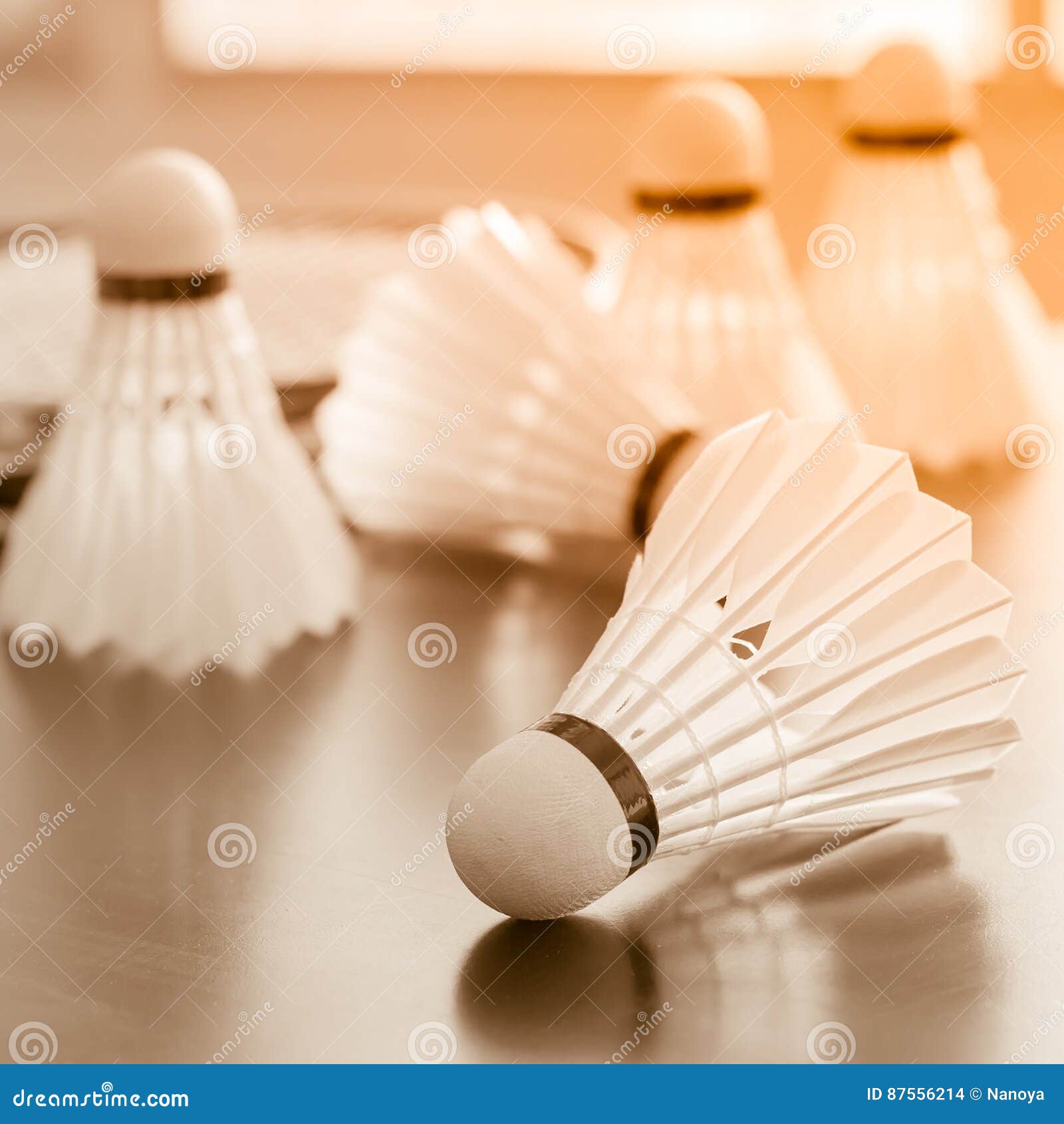 Shuttlecocks and racket stock photo. Image of tournament - 87556214