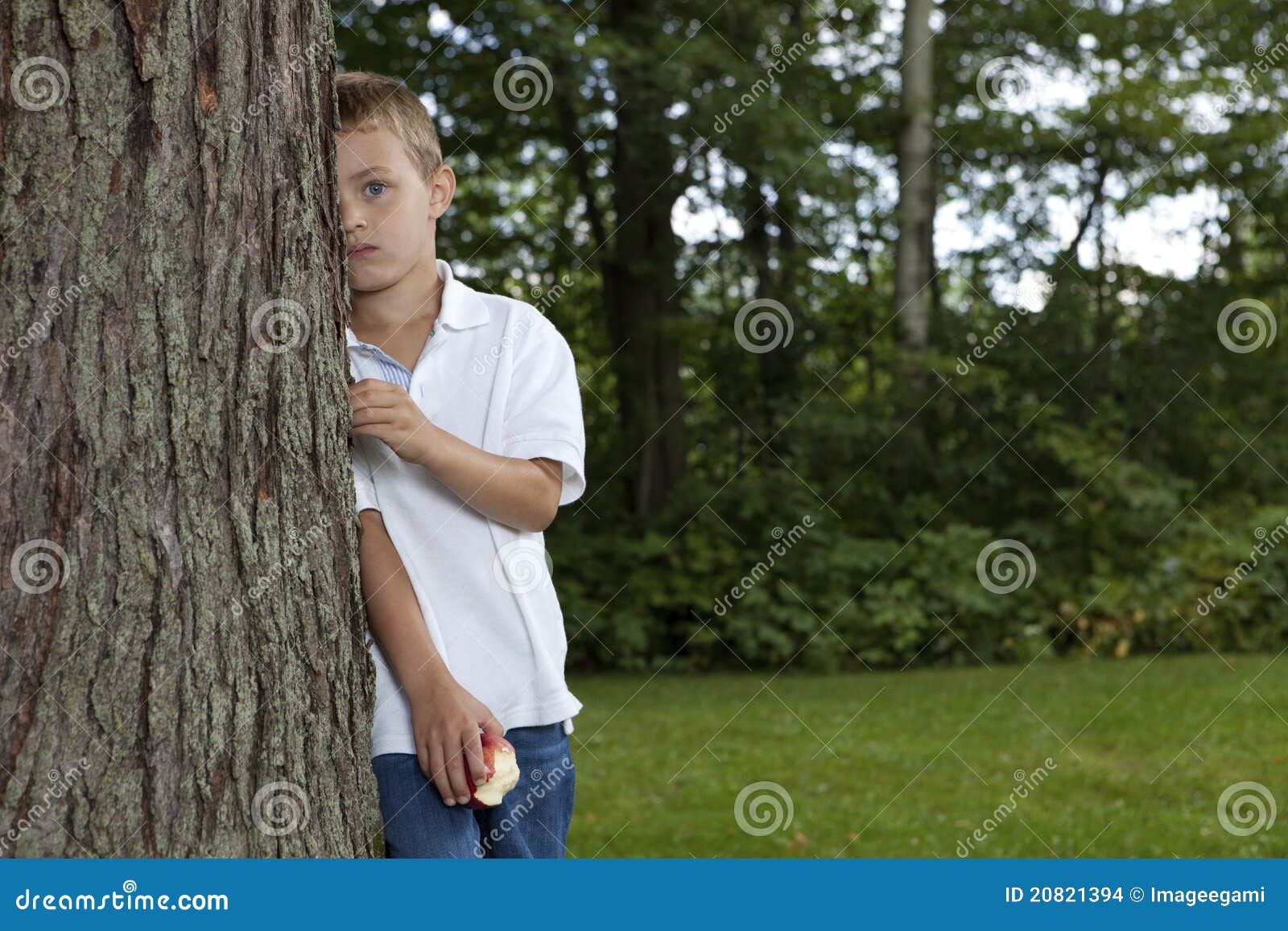 Shy boy stock photo. Image of peering, child, behind - 20821394