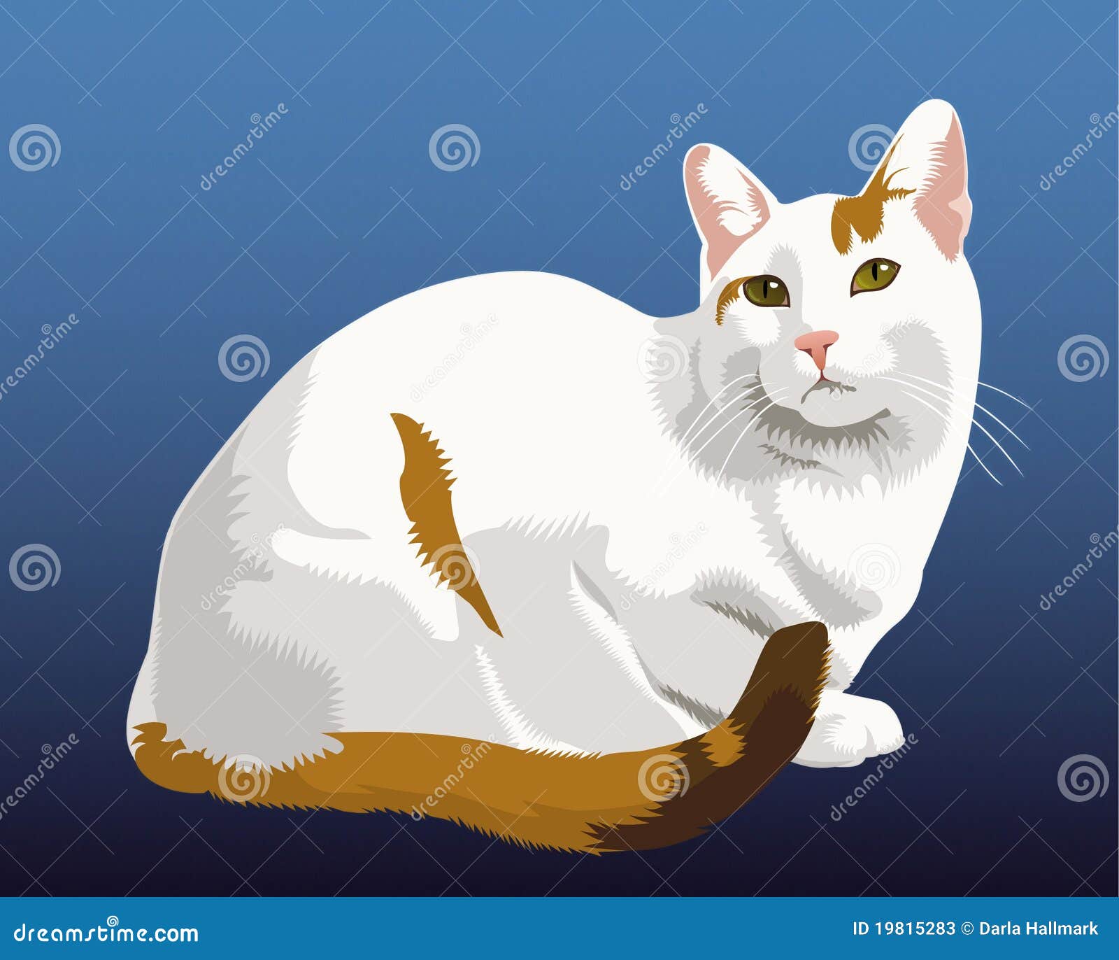 Shy cat stock vector. Illustration of animal, crouching - 19815283