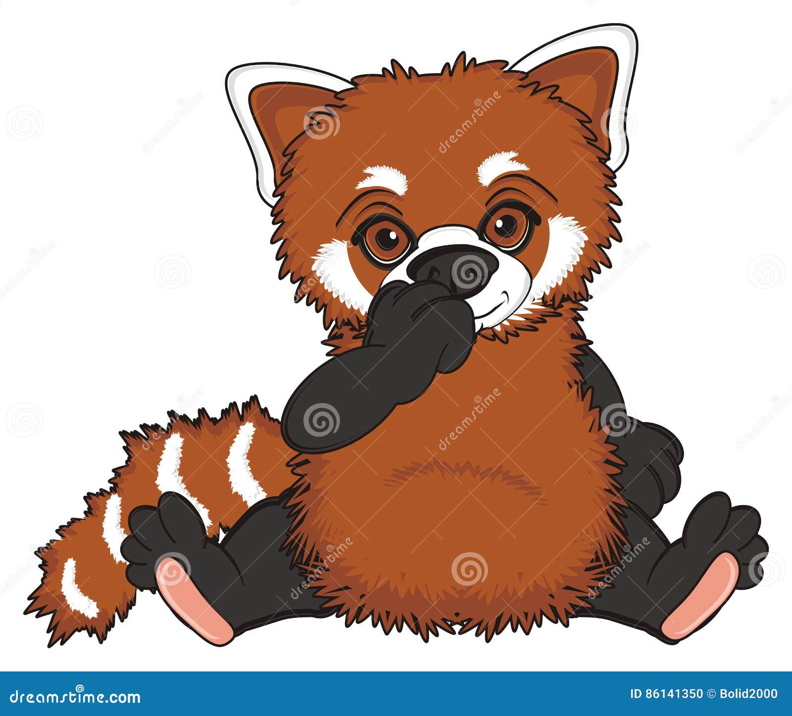 Shy red panda stock illustration. Illustration of isolated - 86141350