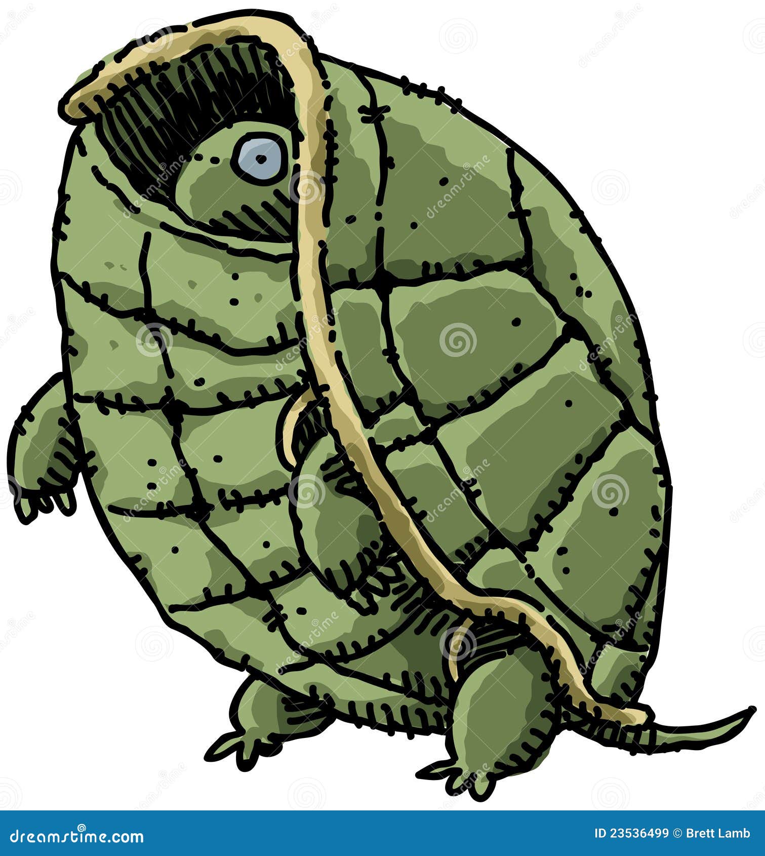 Shy Turtle stock illustration. Illustration of hiding - 23536499