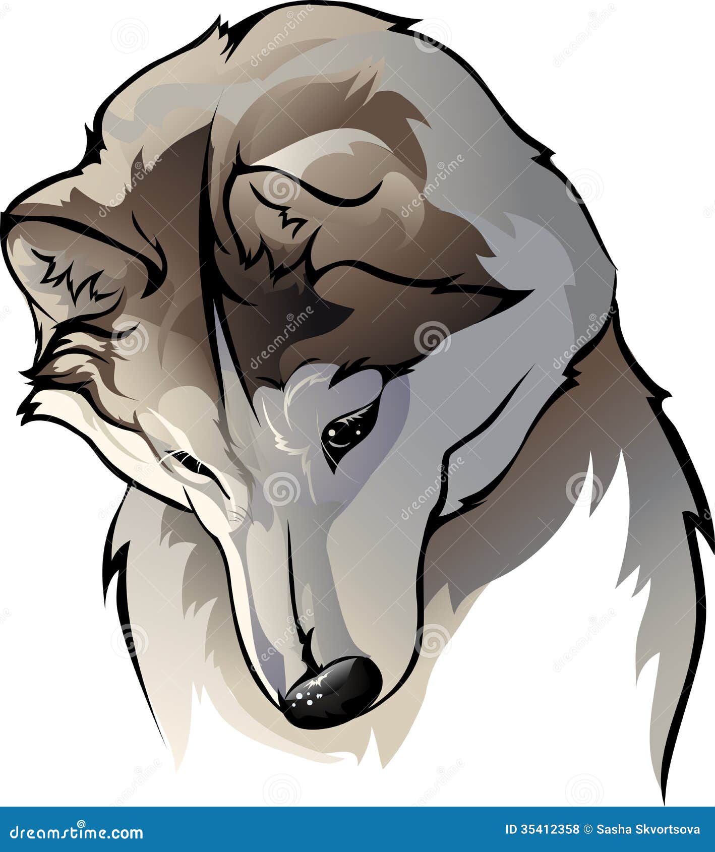 Shy wolf stock vector. Illustration of wolf, mammal, wild - 35412358