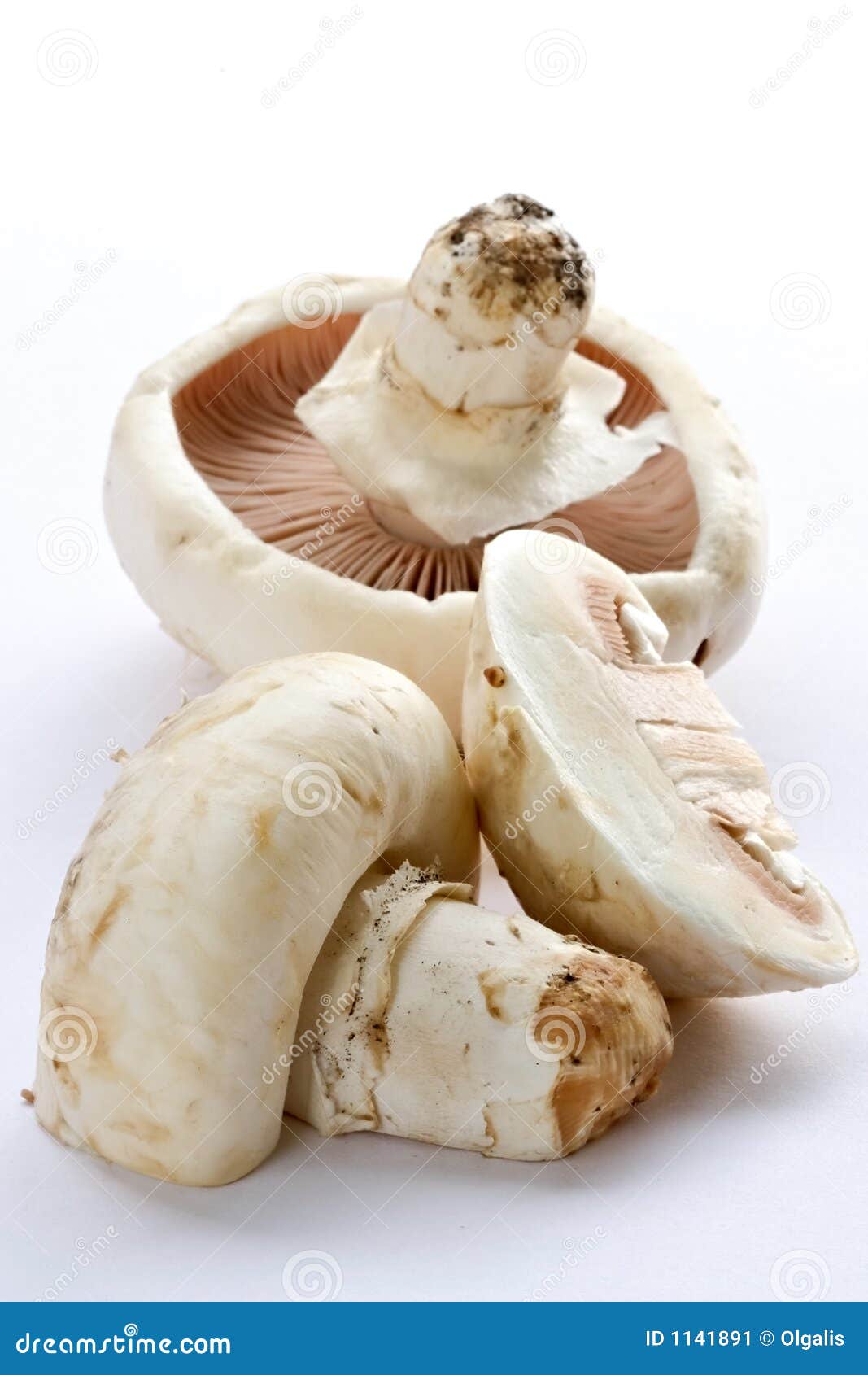 Si Espande Rapidamente I Funghi Prataioli Immagine Stock - Immagine di ...