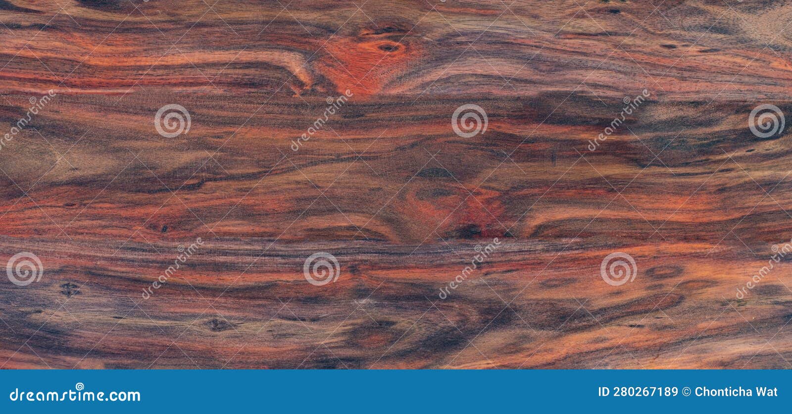 Siam Rosewood texture stock image. Image of natural - 280267189