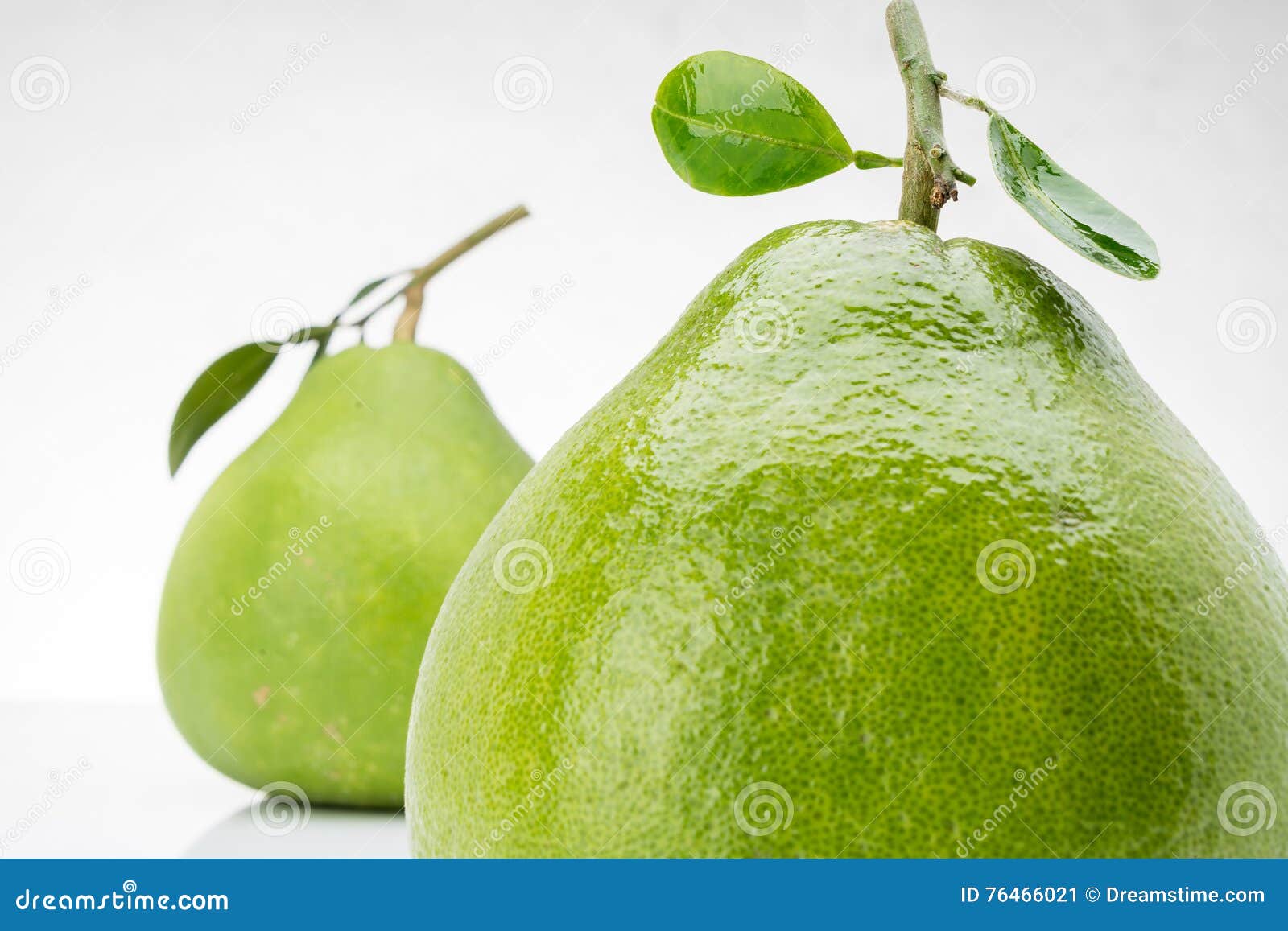 Siam Ruby Pomelo Fruit stock image. Image of freshness - 76466021