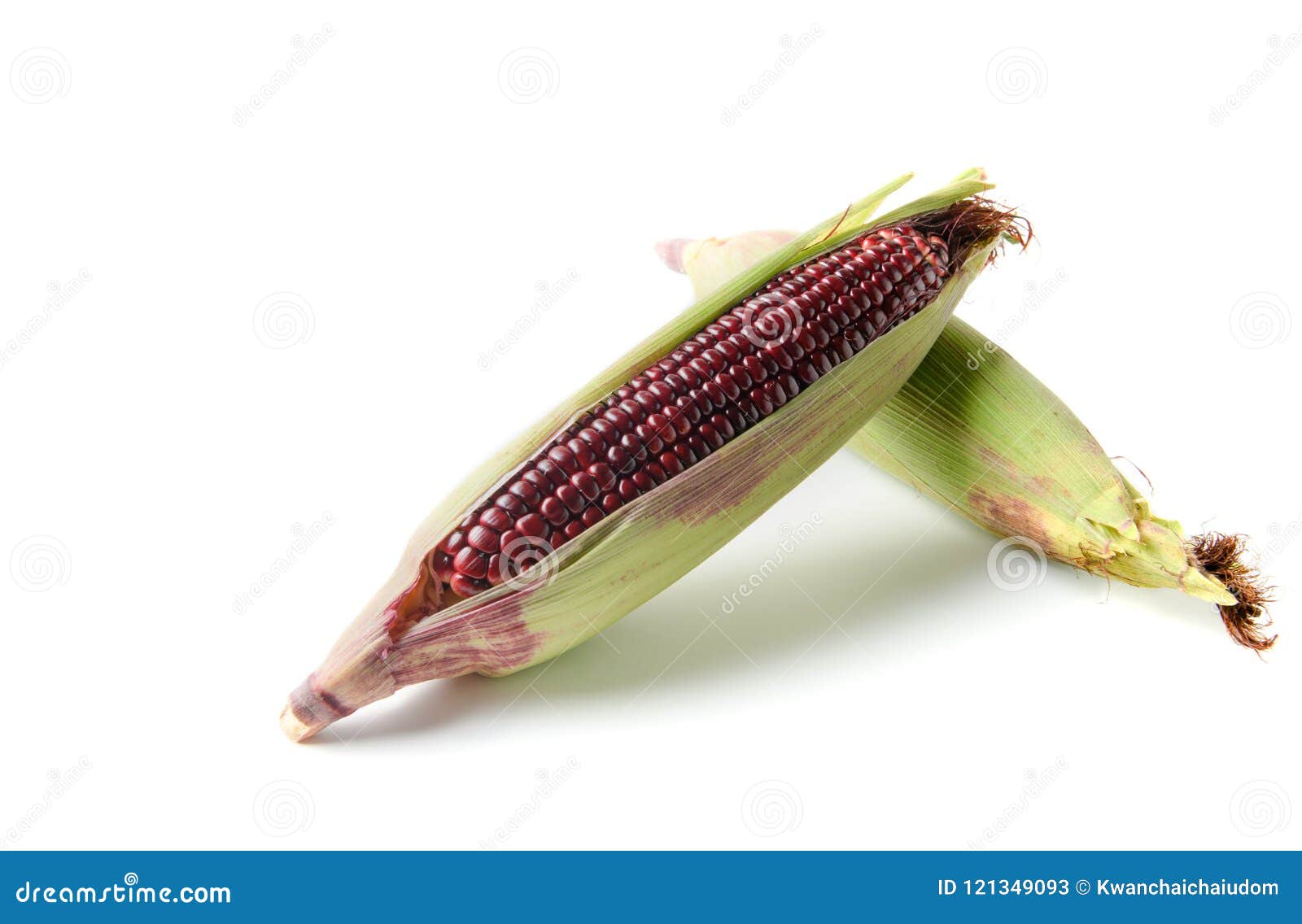 Siam Ruby Queen Or Red Corn Of Thailand Is A Type Of Sweet Corn, Red ...