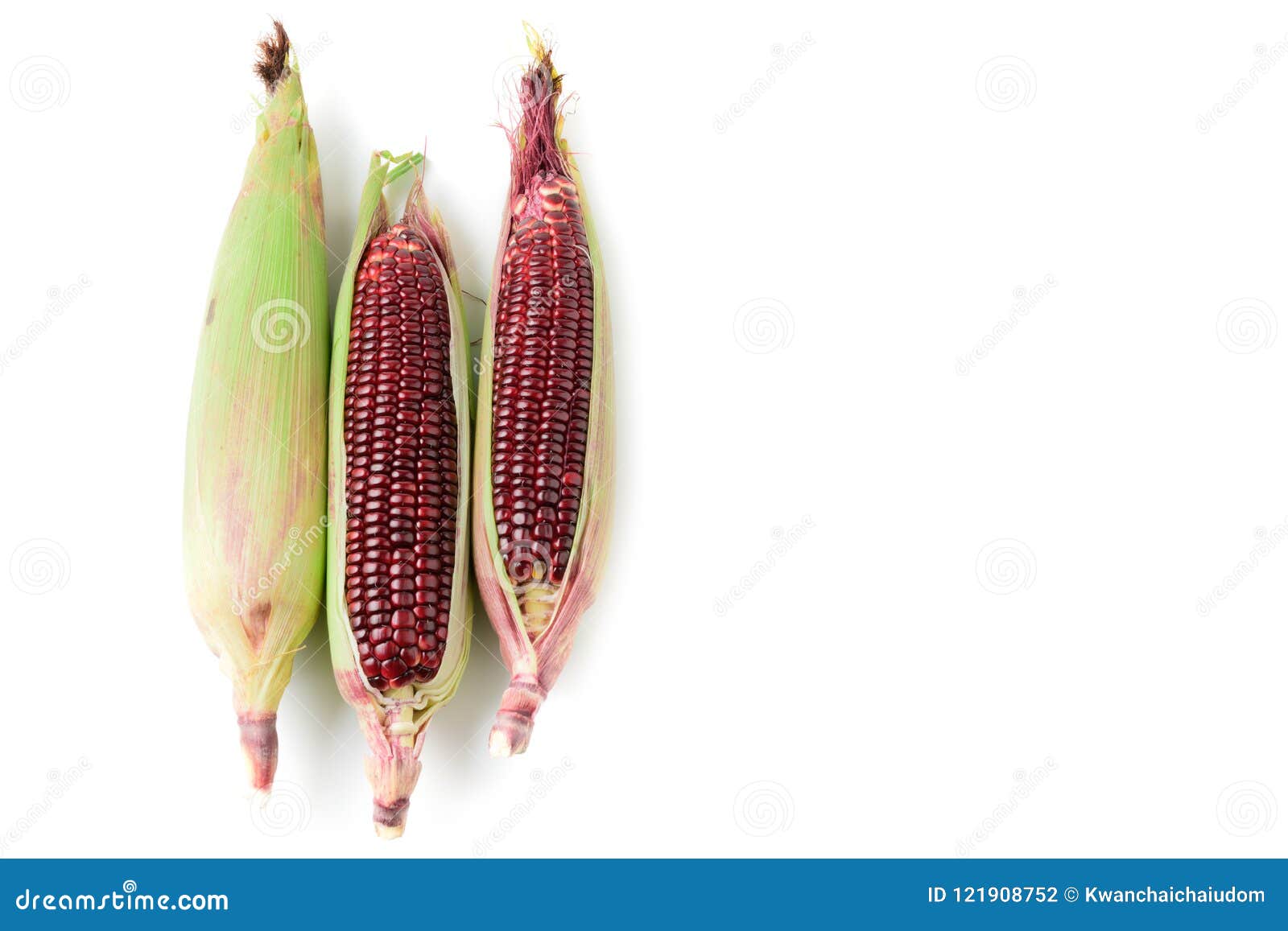 Siam Ruby Queen Is Super Sweet Corn With Red Color, Can Be Eaten Fresh ...