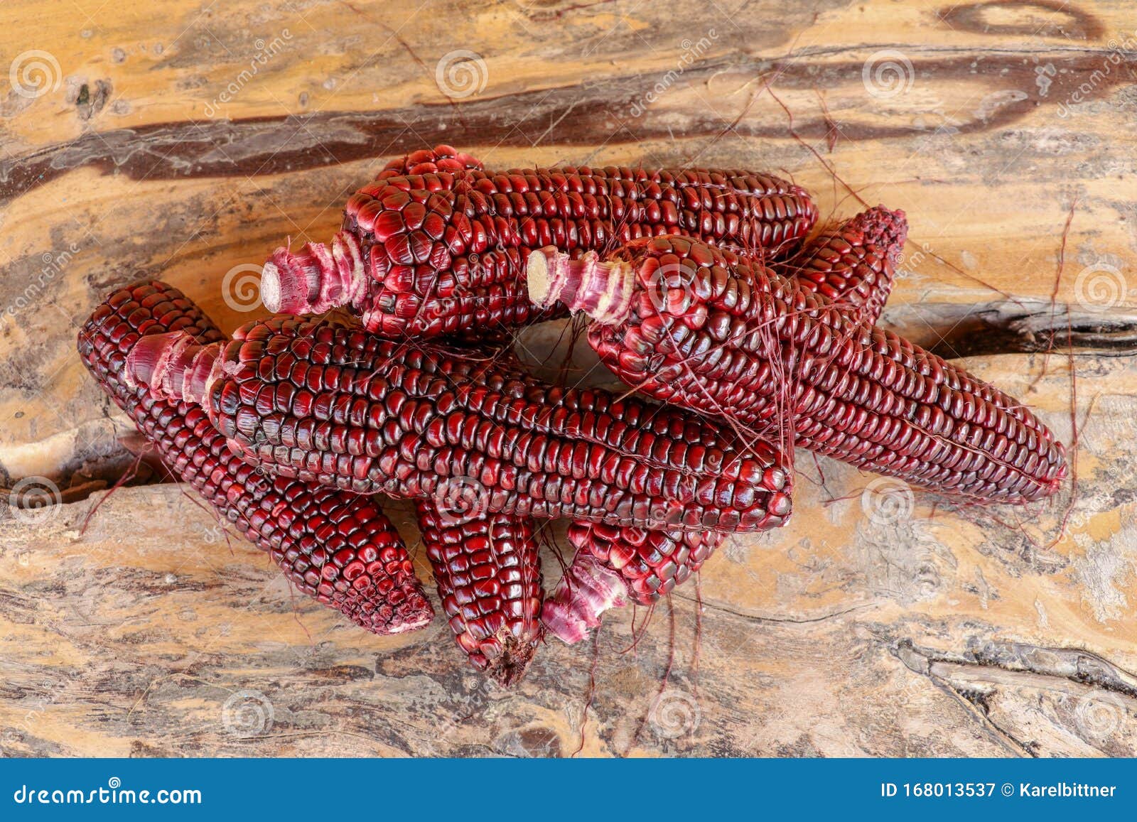 Siam Ruby Queen or Red Corn of Bali is a Type of Sweet Corn. Red Corn`s ...