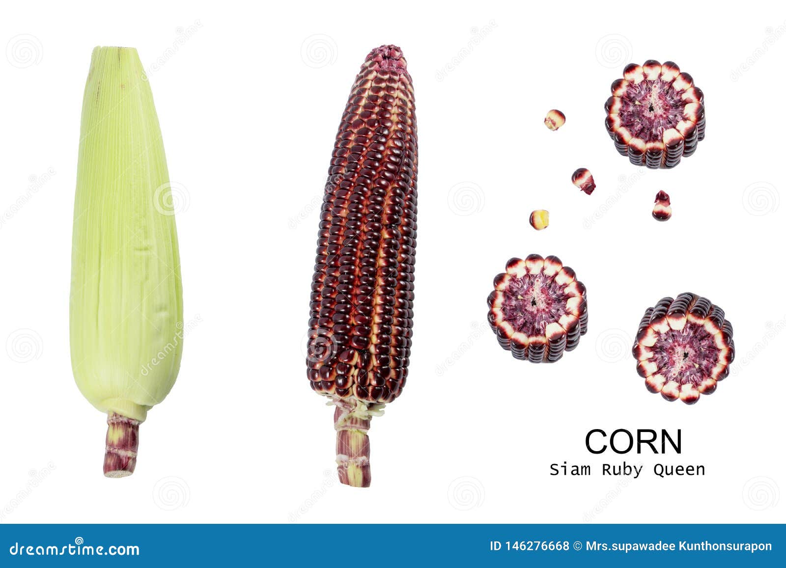 Siam Ruby Queen is Super Sweet Corn Stock Photo - Image of sweet, super ...