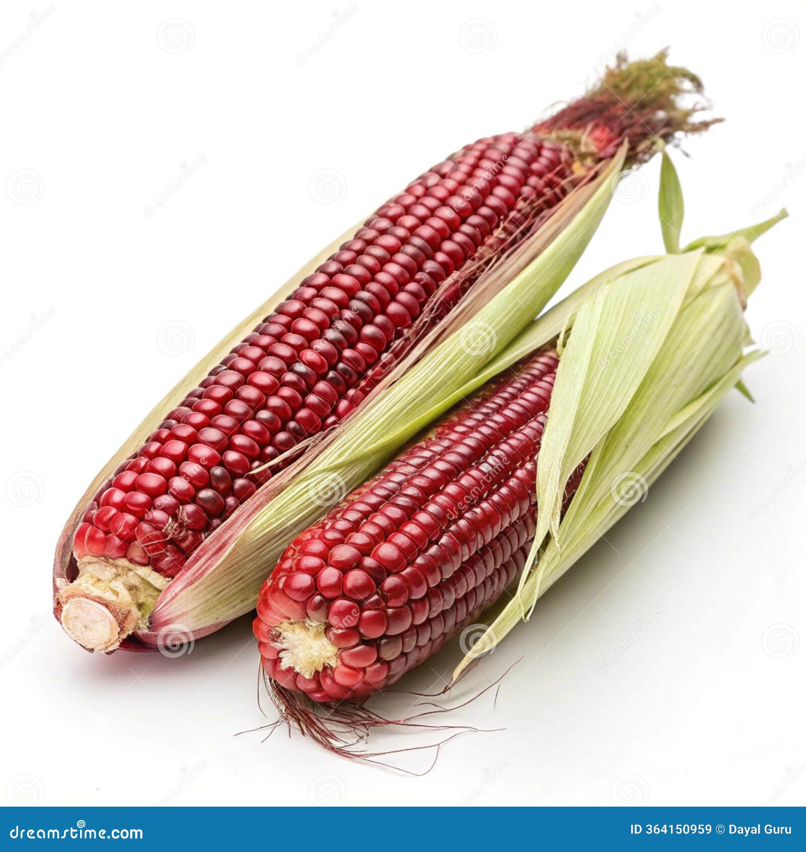 Siam Ruby Queen Thai Red Corn Isolated On White Background Royalty-Free ...
