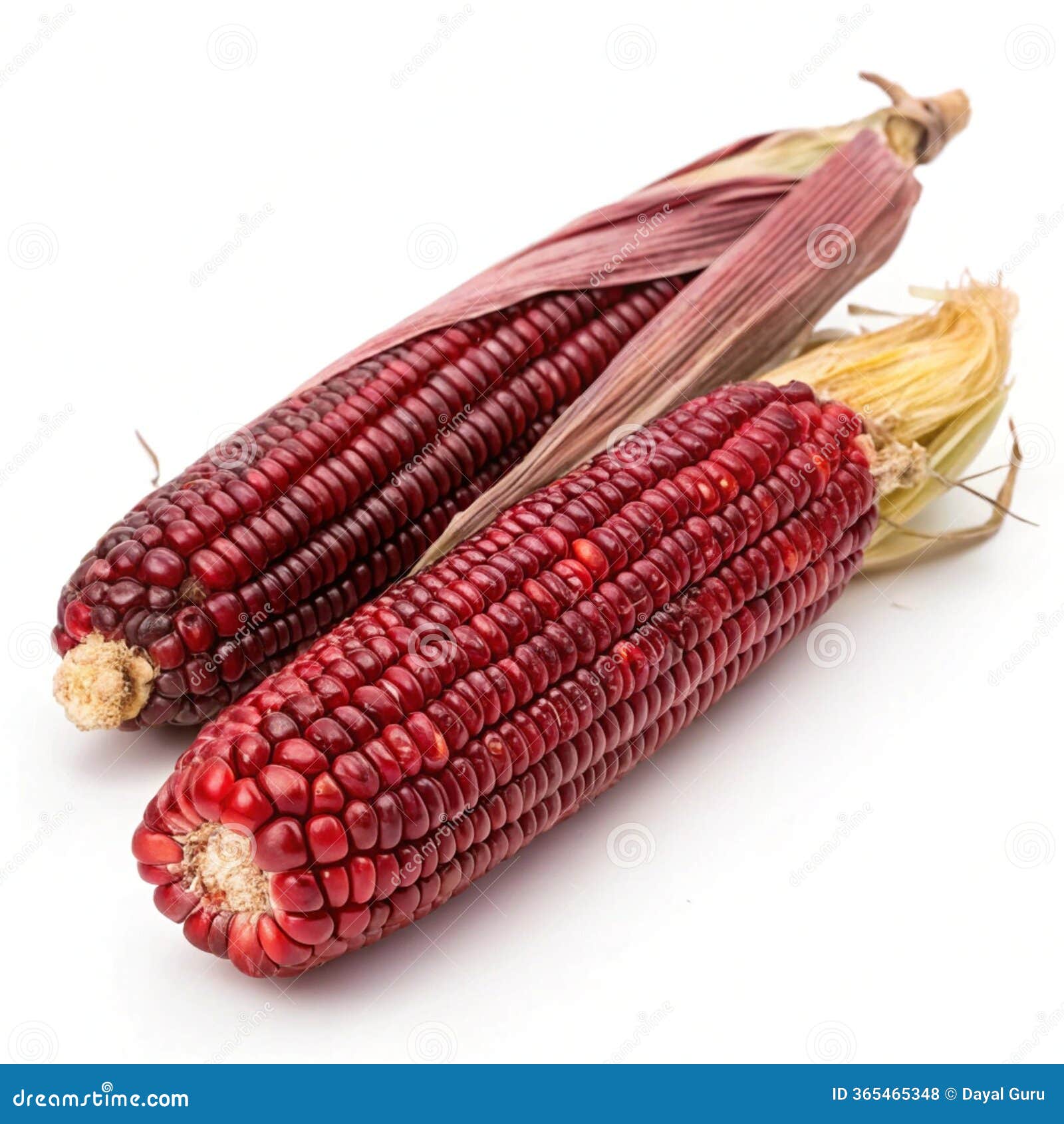 Siam Ruby Queen Thai Red Corn Isolated On White Background Royalty-Free ...