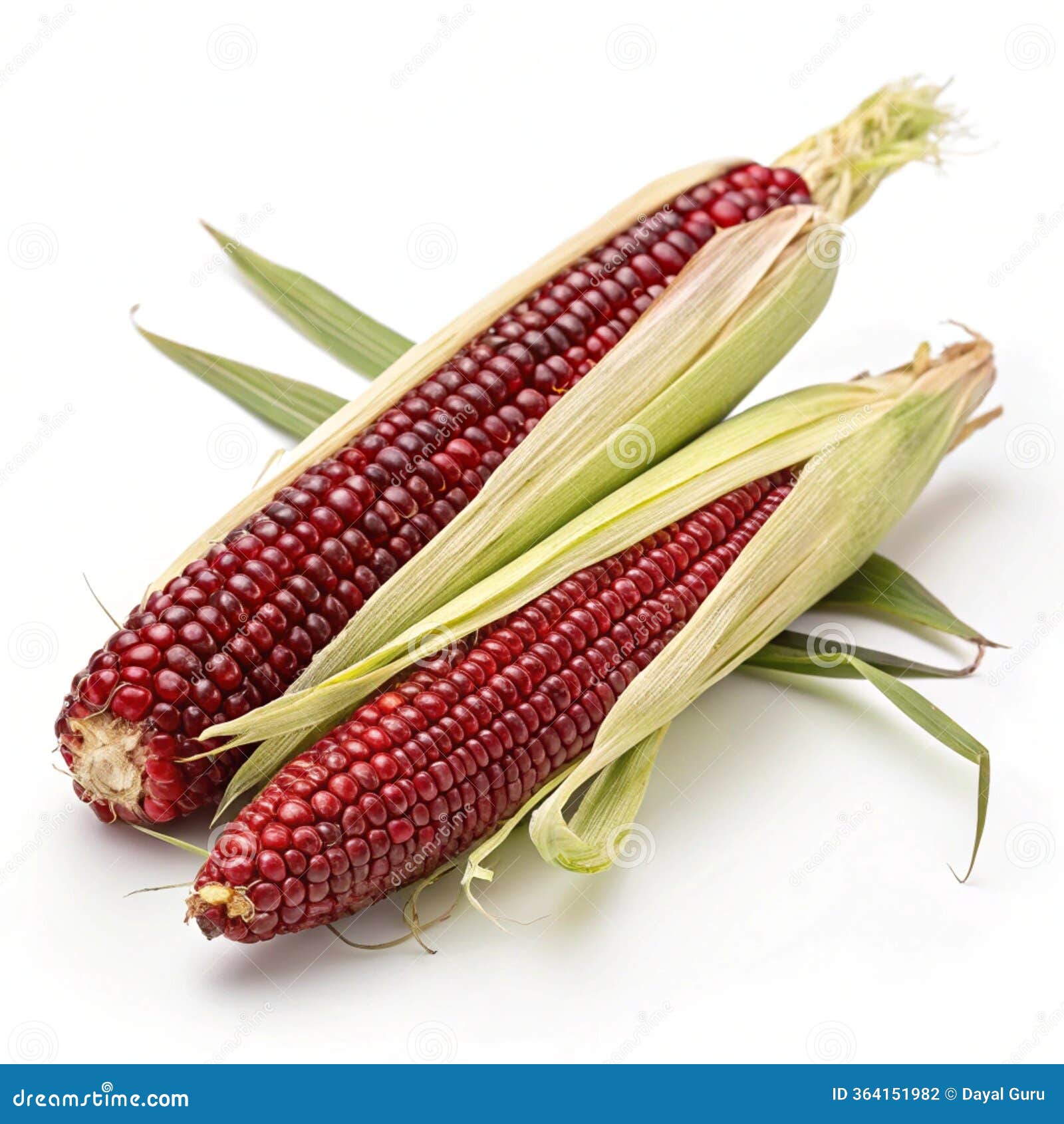 Siam Ruby Queen (Thai Red Corn) Isolated On White Background Stock ...