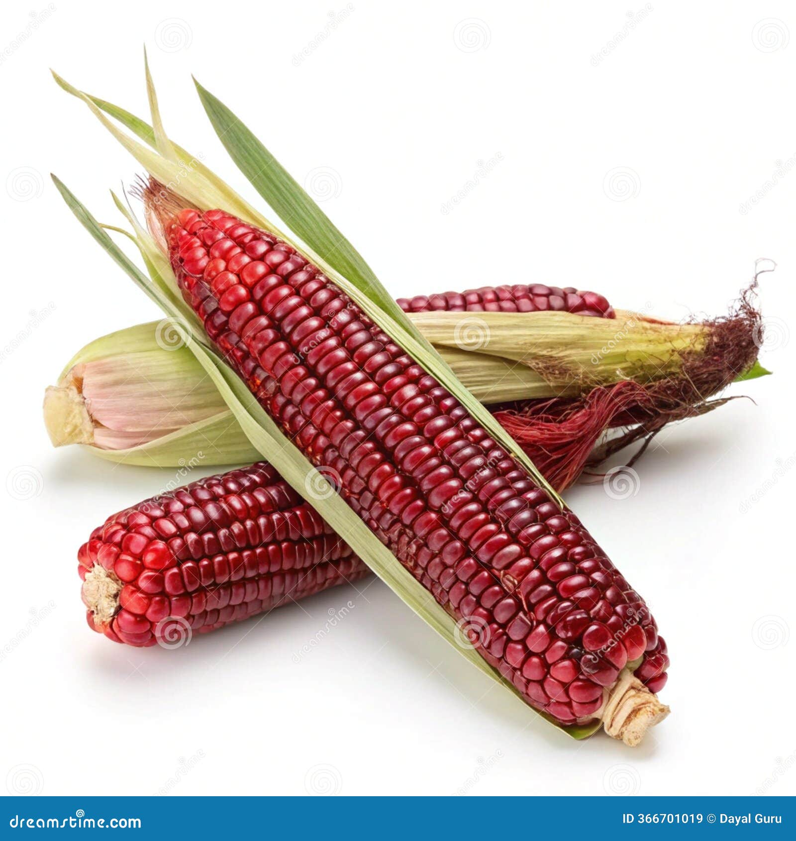 Siam Ruby Queen Thai Red Corn Isolated On White Background Royalty-Free ...