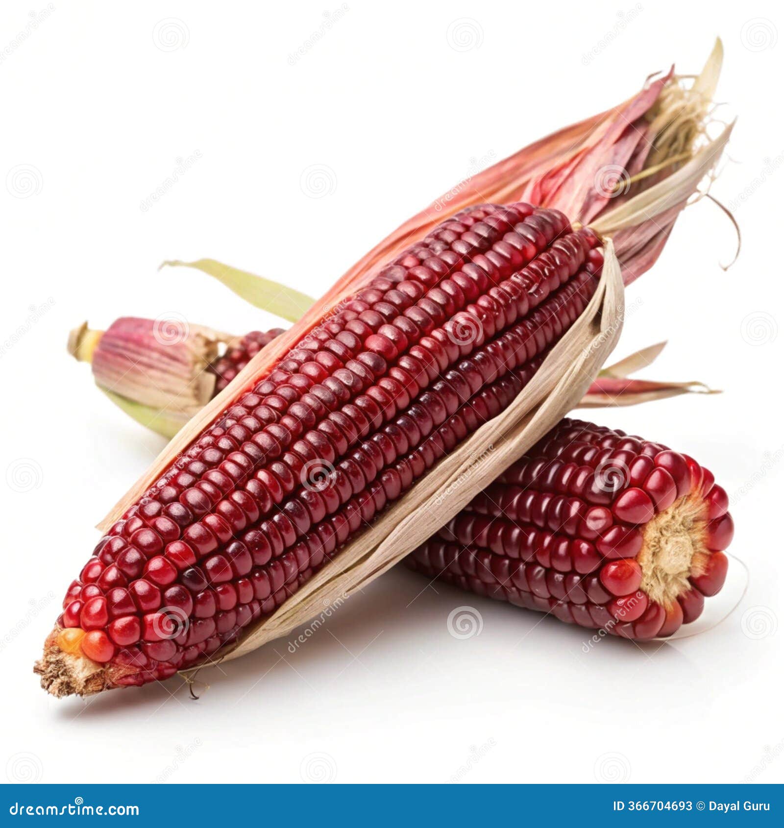 Siam Ruby Queen Thai Red Corn Isolated On White Background Royalty-Free ...