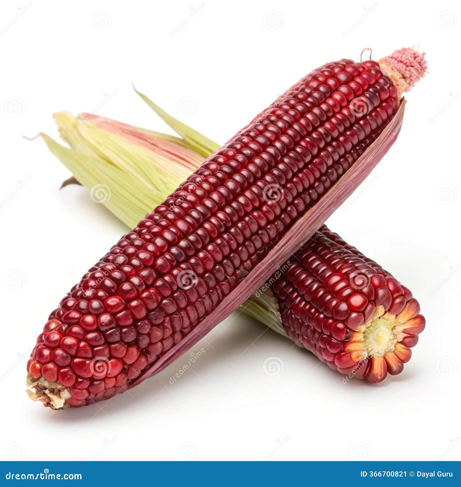 Siam Ruby Queen Thai Red Corn Isolated On White Background Royalty-Free ...