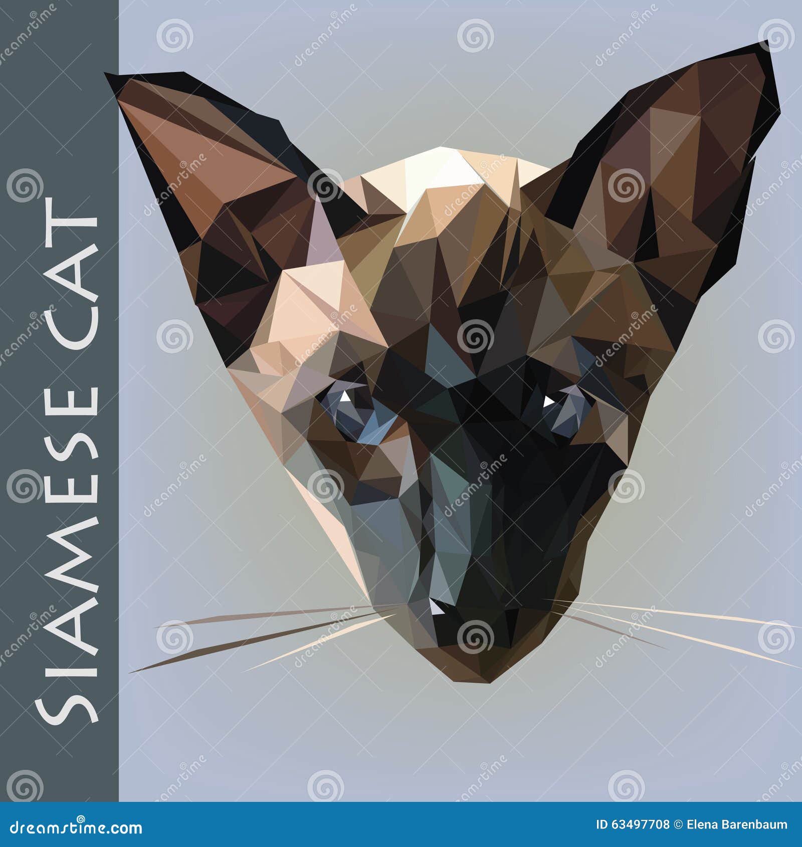 Siames cat stock illustration. Illustration of maine - 63497708
