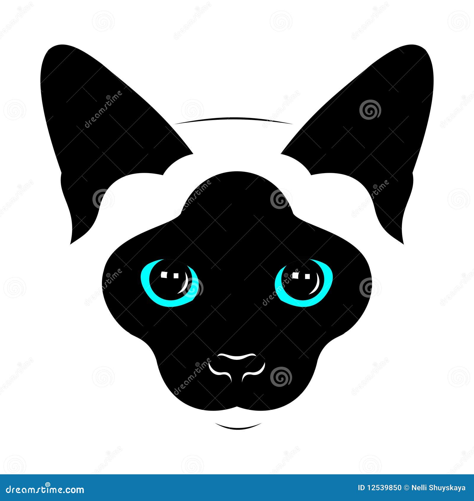 Siamese cat stock vector. Illustration of domestic, kitten - 12539850
