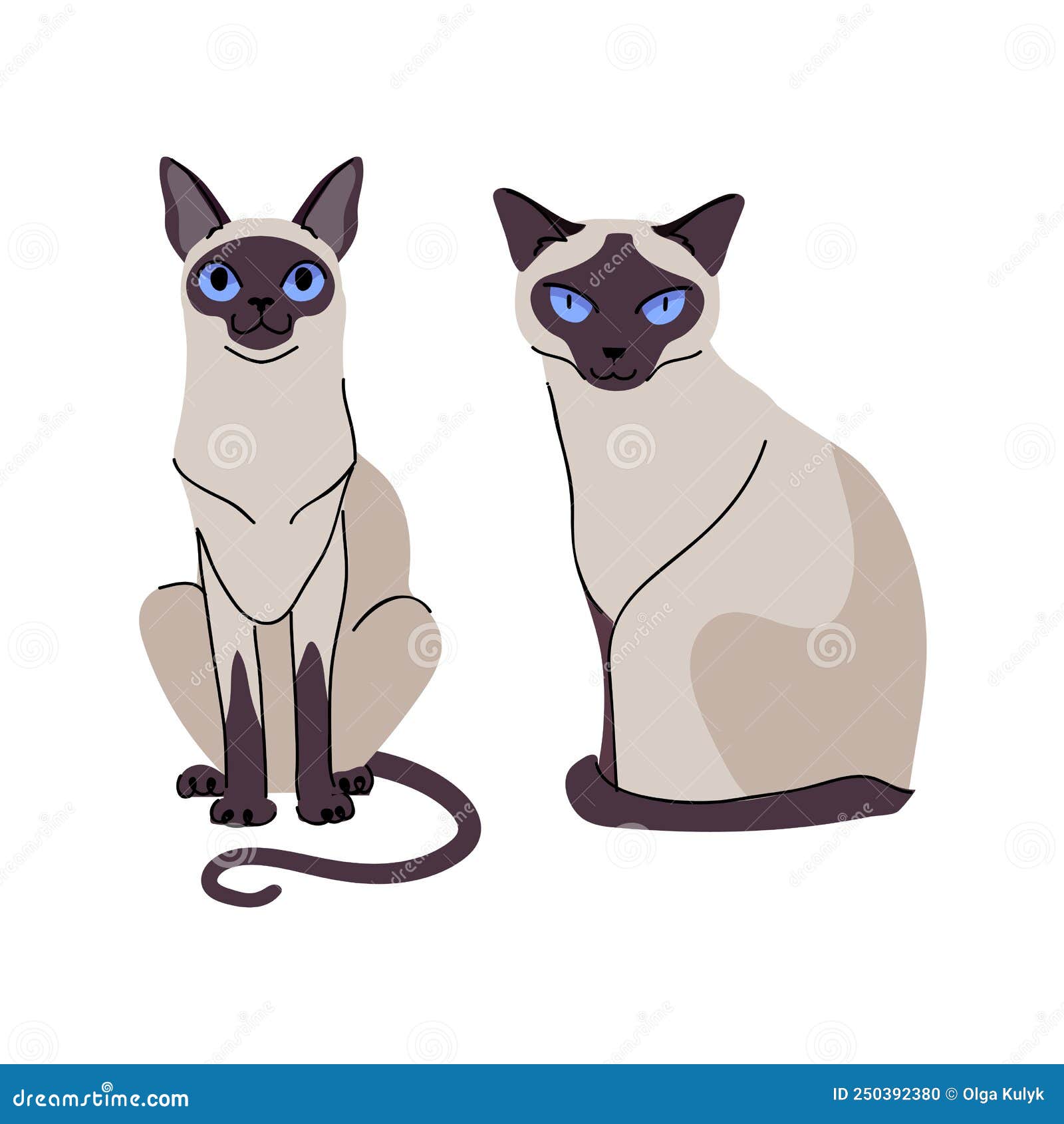 Siamese Cat Vector Set On White Background. Pet Character Animal ...