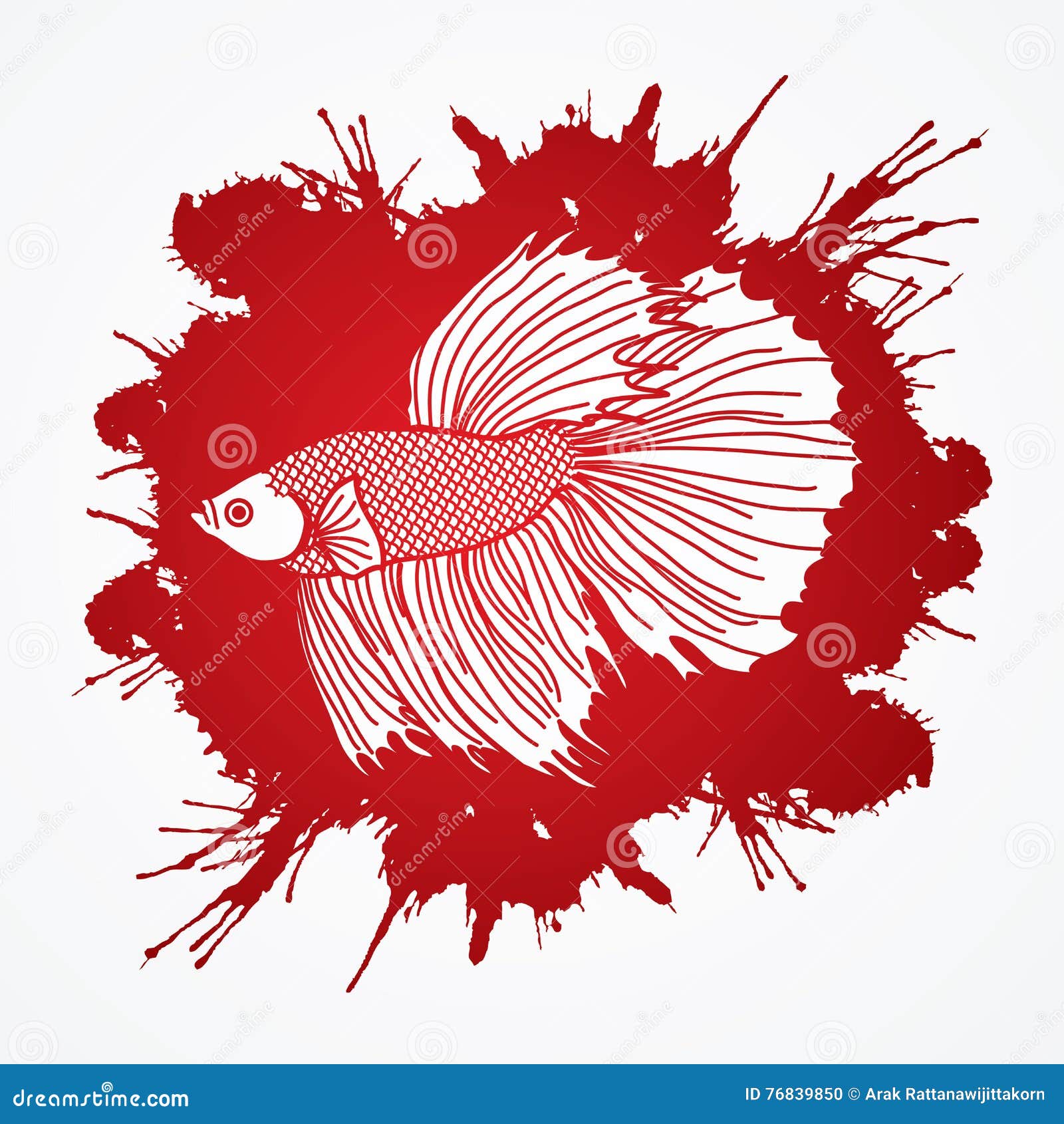 Siamese Fighter Fish Top View Line Art Vector Illustration ...