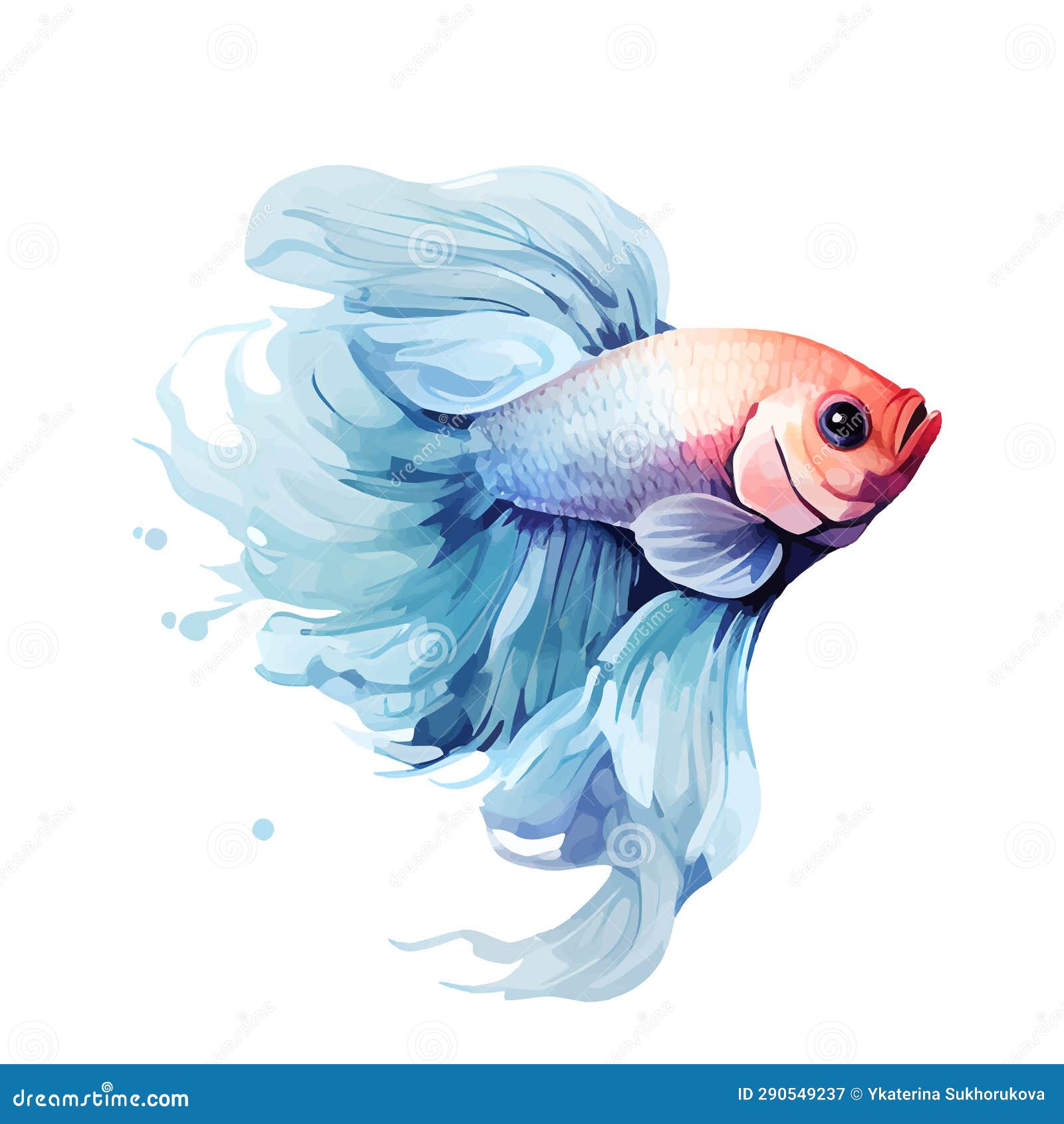 Siamese Fighting Fish, Vector, Illustration, White Background Stock Vector - Illustration of ...