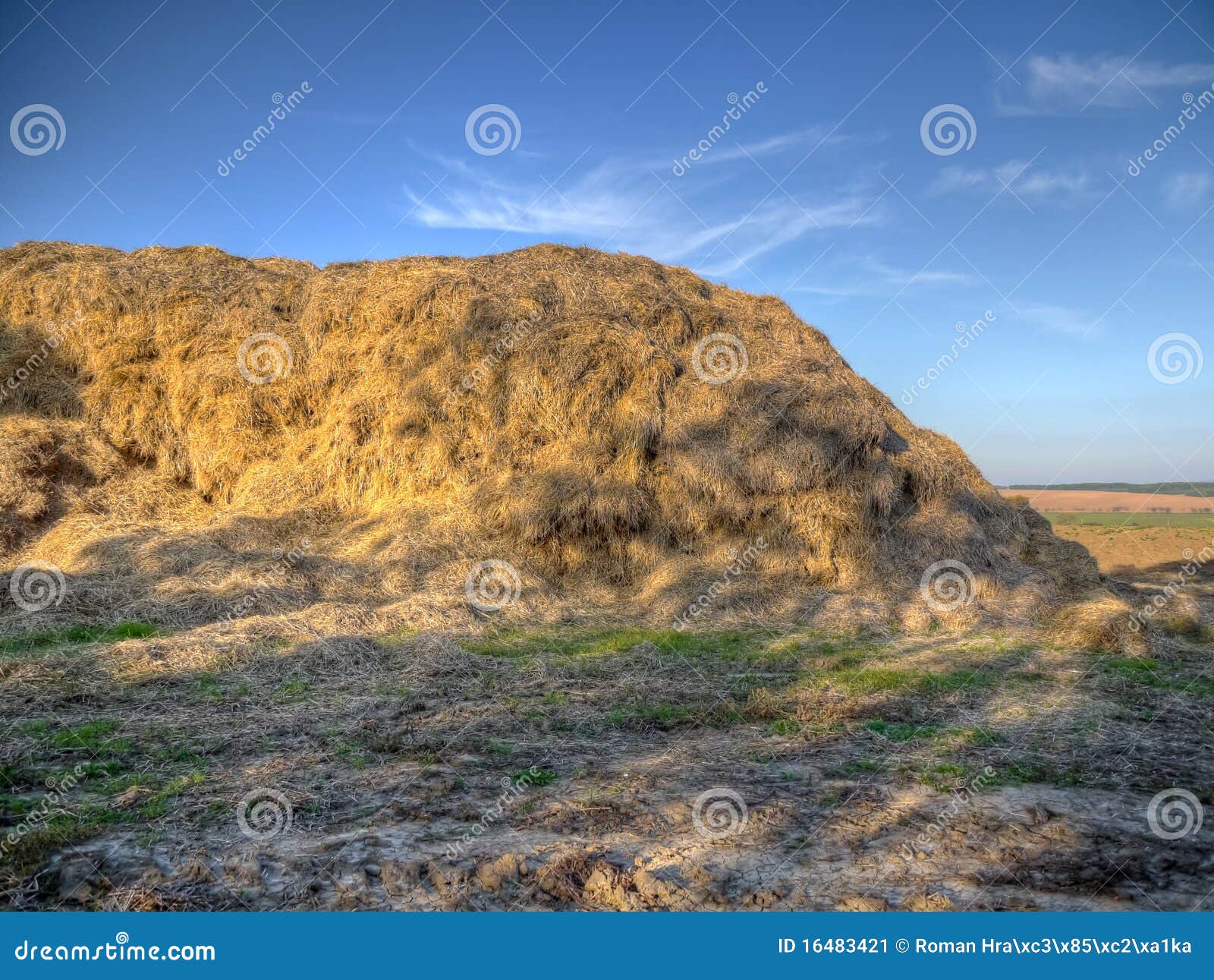 Siano ogromna sterta obraz stock. Obraz złożonej z uprawa - 16483421