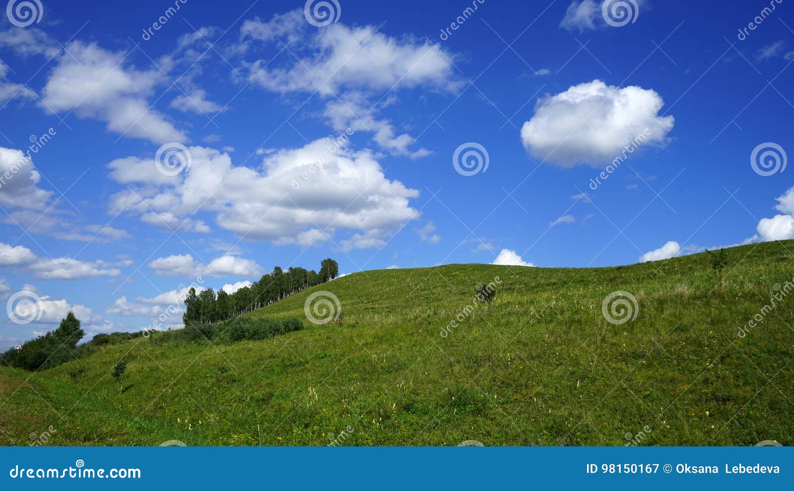 Siberia Steppes in the Summer Stock Image - Image of clarity, bloom ...