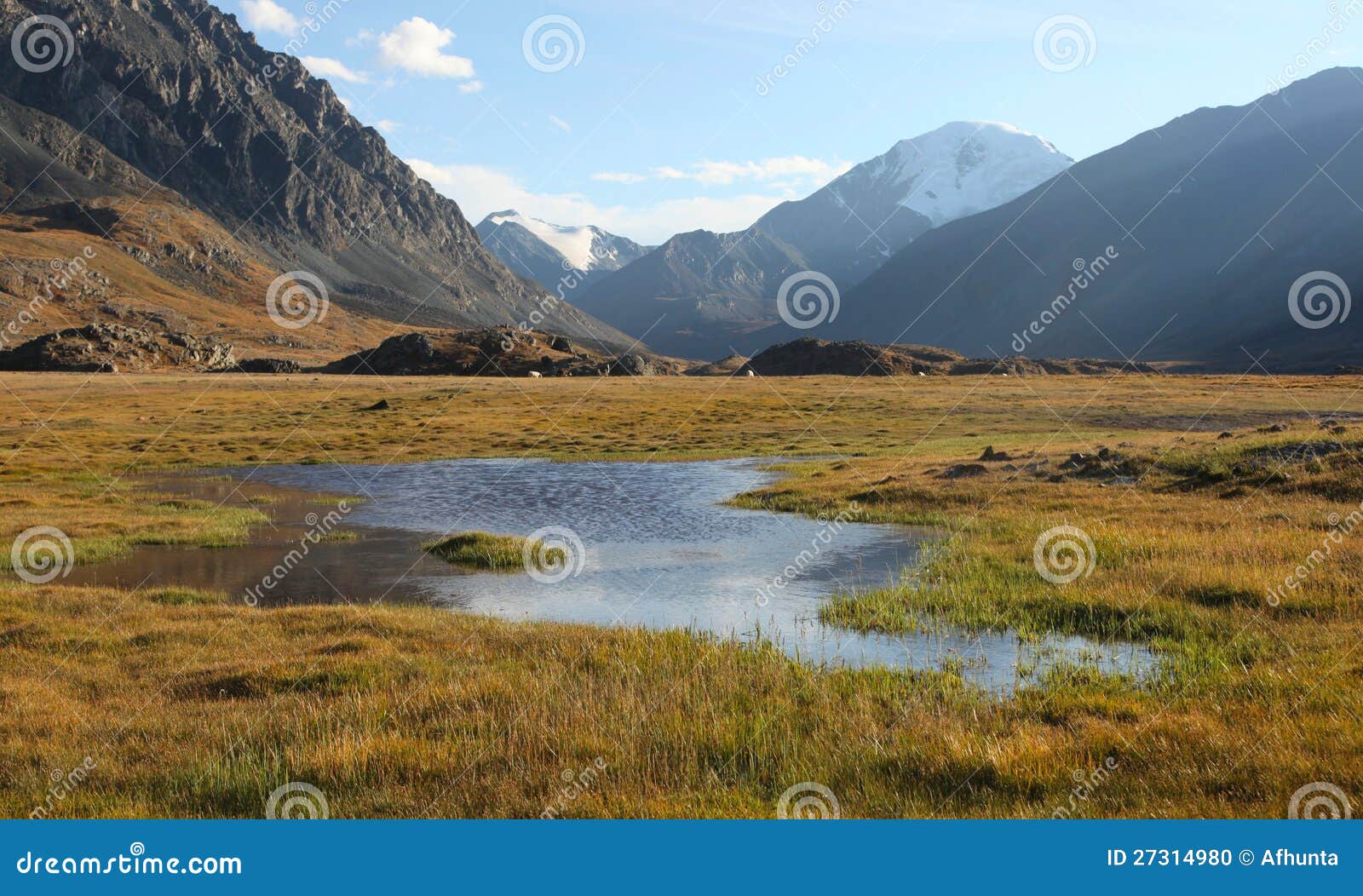 Siberian Alpine Tundra stock photo. Image of peaceful - 27314980