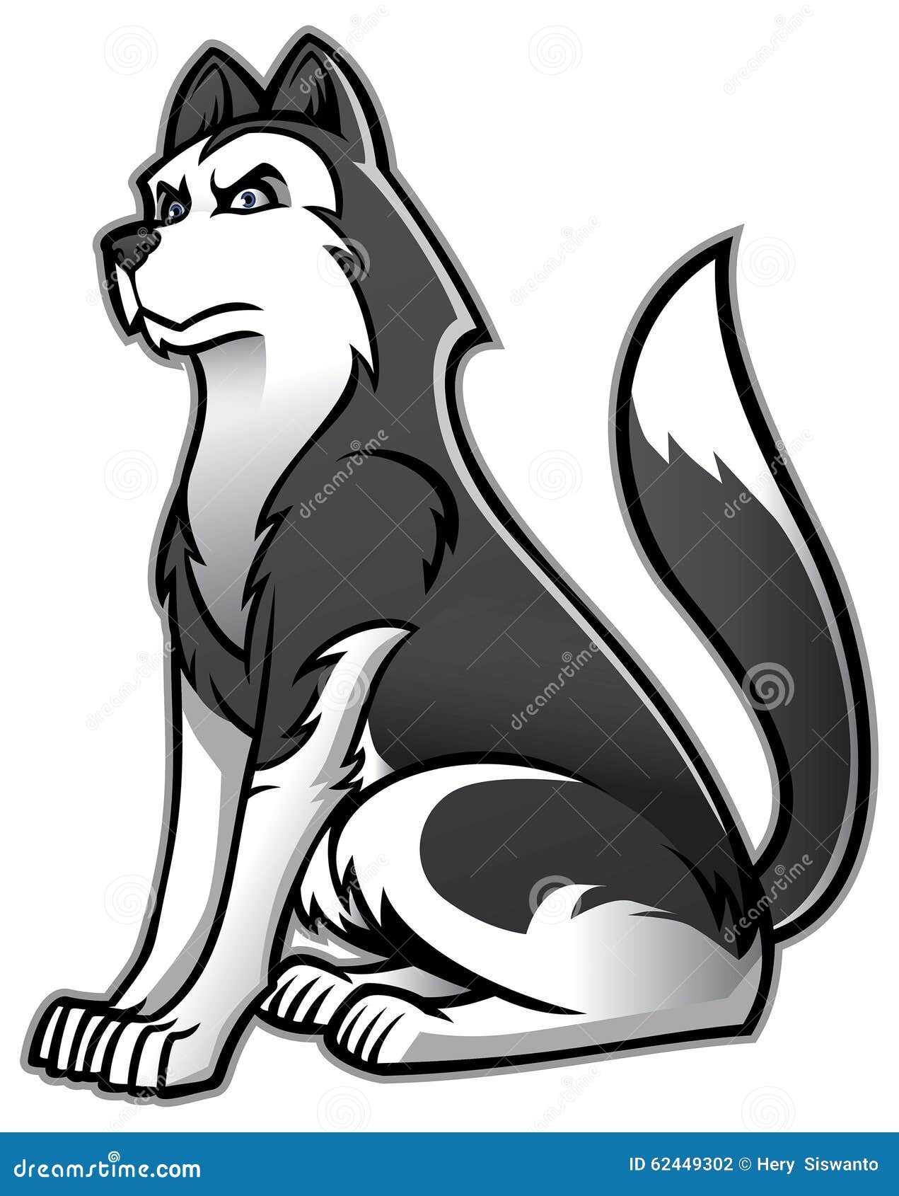 Siberian Husky Sitting, White And Black Purebred Dog Animal With Blue ...