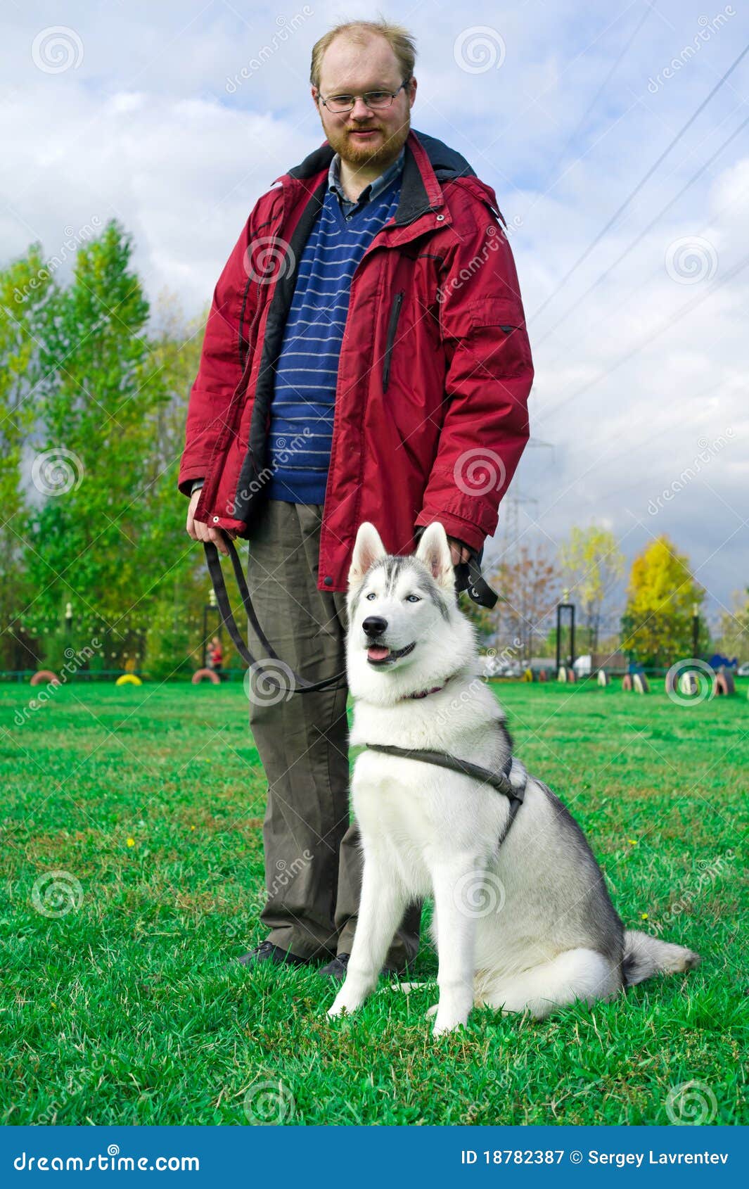Siberian Husky with a man stock image. Image of education - 18782387